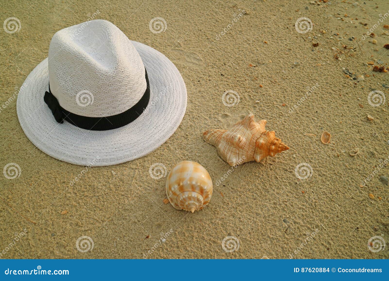 White Hat with Two Types of Beautiful Natural Seashells on the Sandy ...