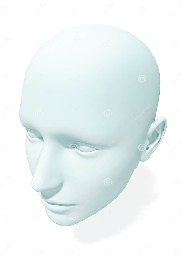 White head stock illustration. Illustration of bald, face - 31259156