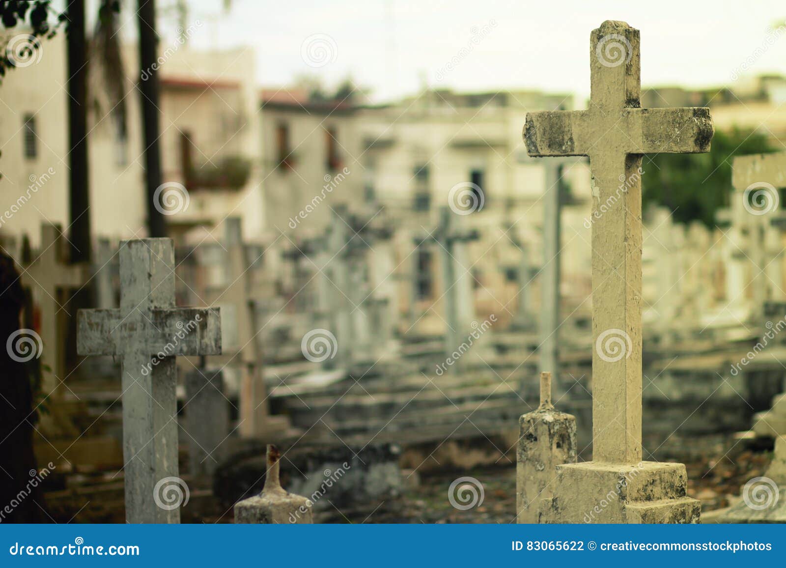 2 White Headstone Inside Cemetery During Daytime Picture. Image: 83065622