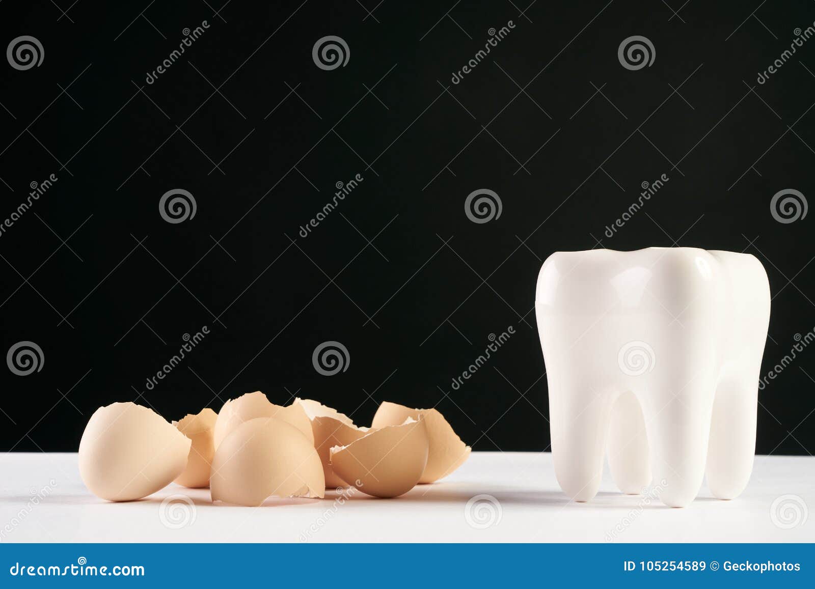 White Healthy Human Tooth Model and Eggshell Stock Image - Image of ...