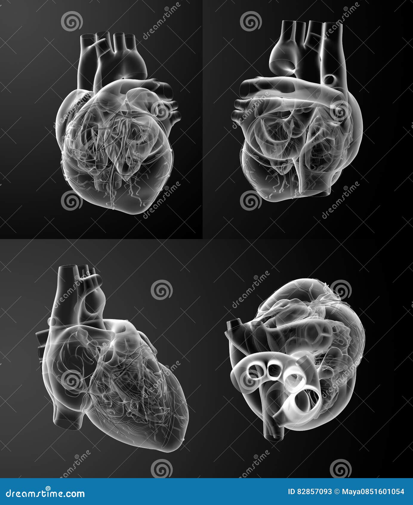 White heart stock illustration. Illustration of body - 82857093