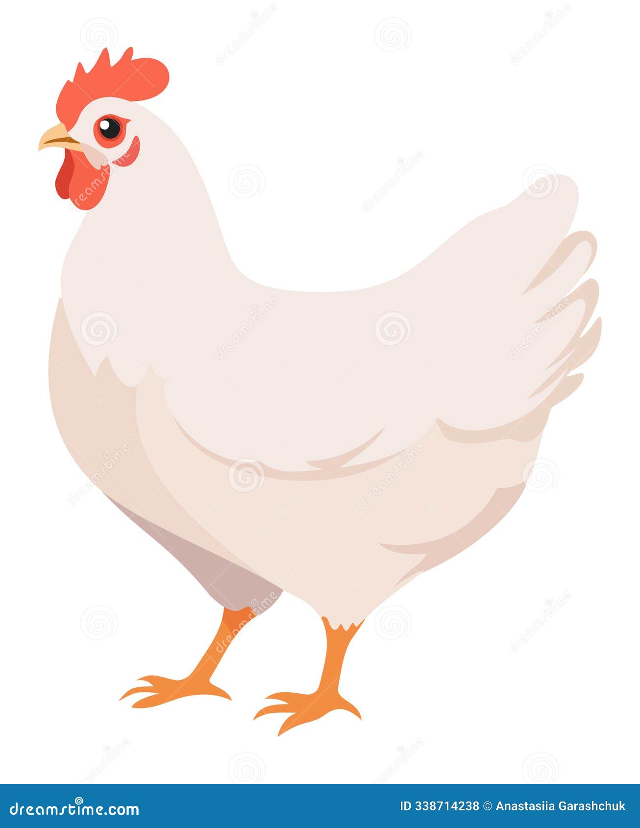 White Hen. Vector Illustration Isolated on White Background Stock ...