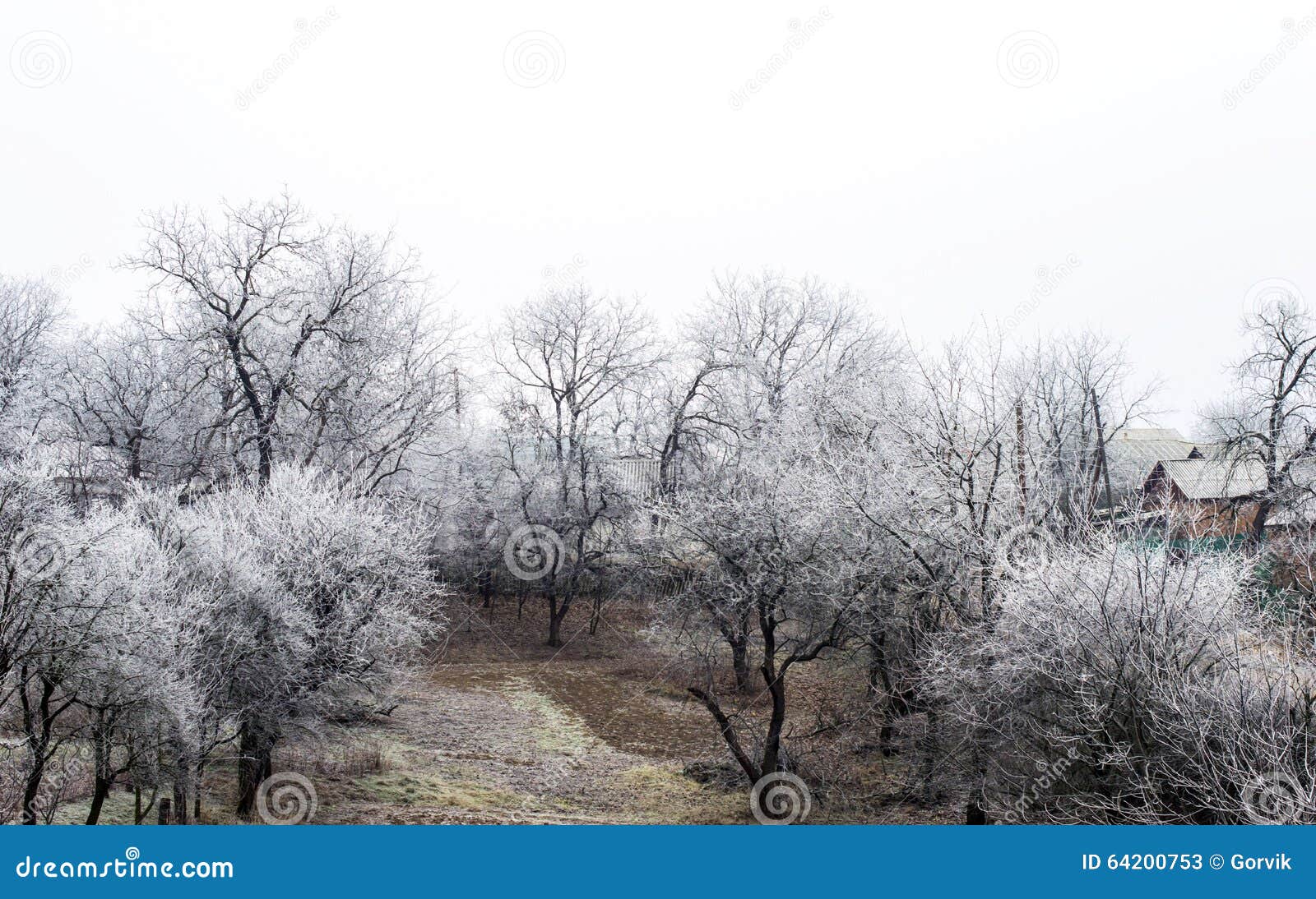 White Hoarfrost on Trees in the Countryside Stock Image - Image of ...