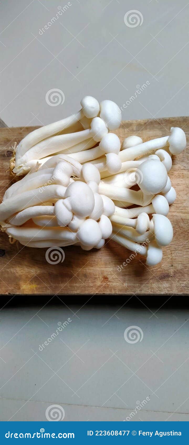 White Hokto Mushroom on the Cutting Board Stock Image - Image of ...