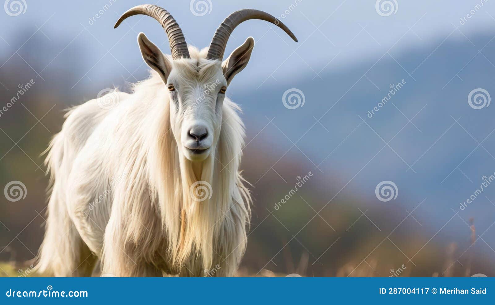 A White Horned Goat Head on Blurry Natural Background, Generated by Ai ...