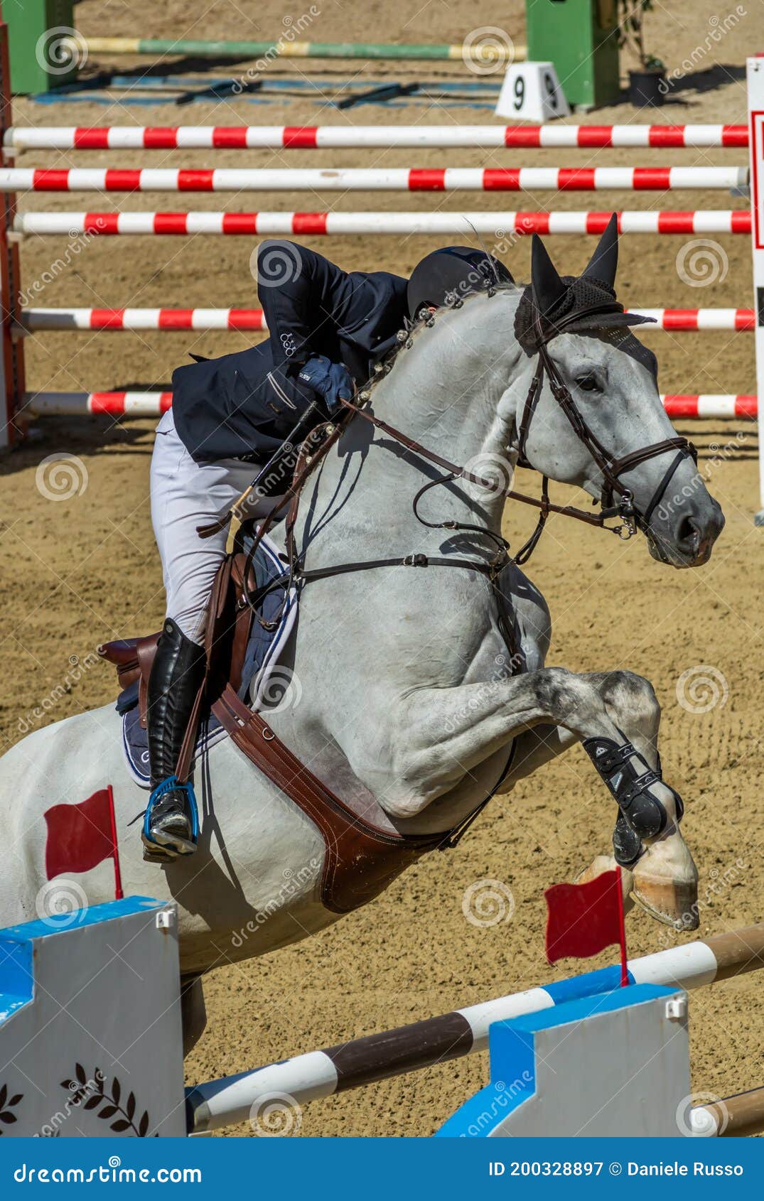 White Horse Jumping the Obstacle Durign a Five Star Competition ...