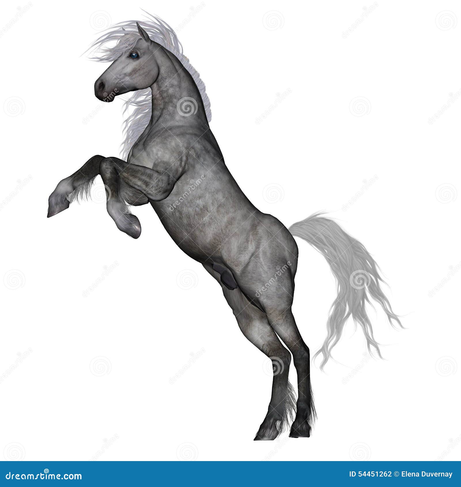 Horse Rearing Up Sketch Vector Illustration | CartoonDealer.com #27412532