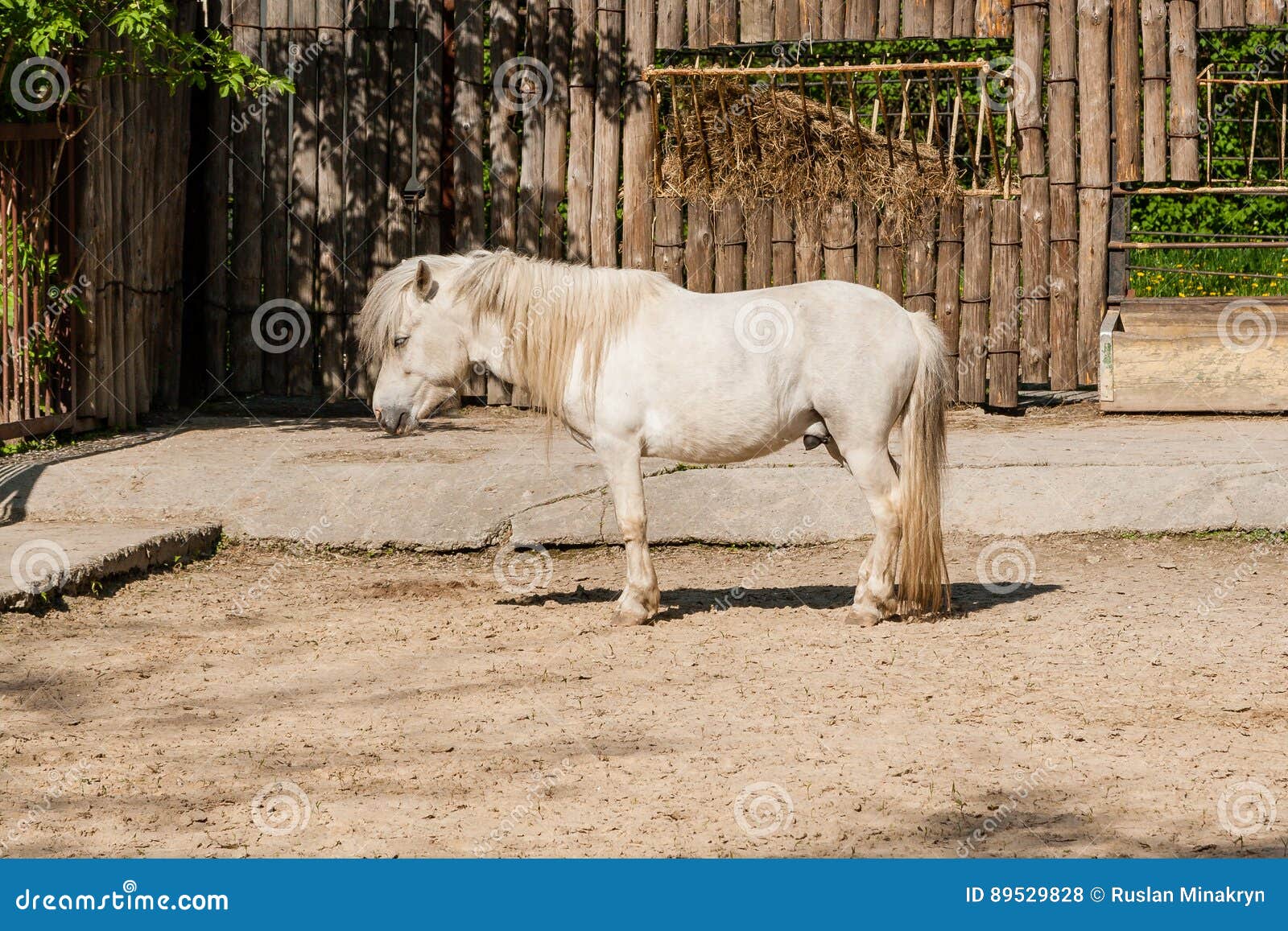 Horse Stands On A Background Of Green Leaves Royalty-Free Stock ...