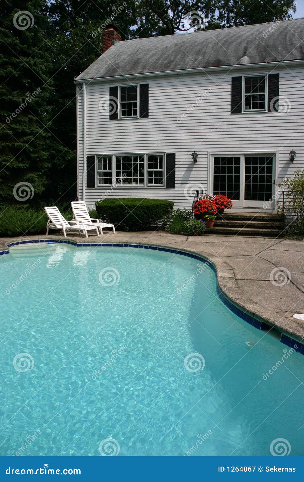 White house with pool stock image. Image of buildings - 1264067