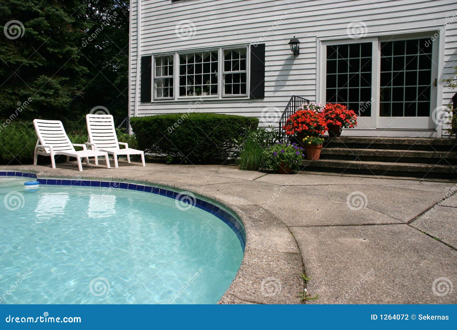White house with pool stock photo. Image of doorway, suburbs - 1264072