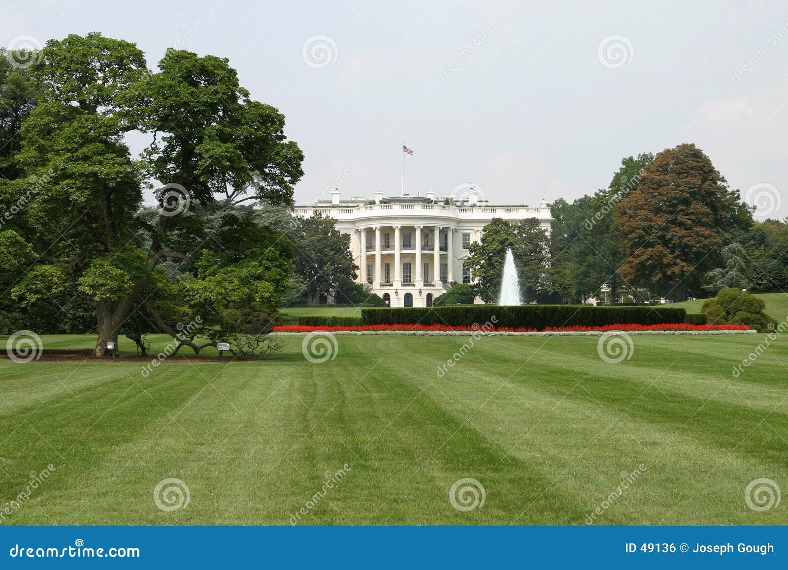 The White House, Rear stock photo. Image of lawn, president - 49136