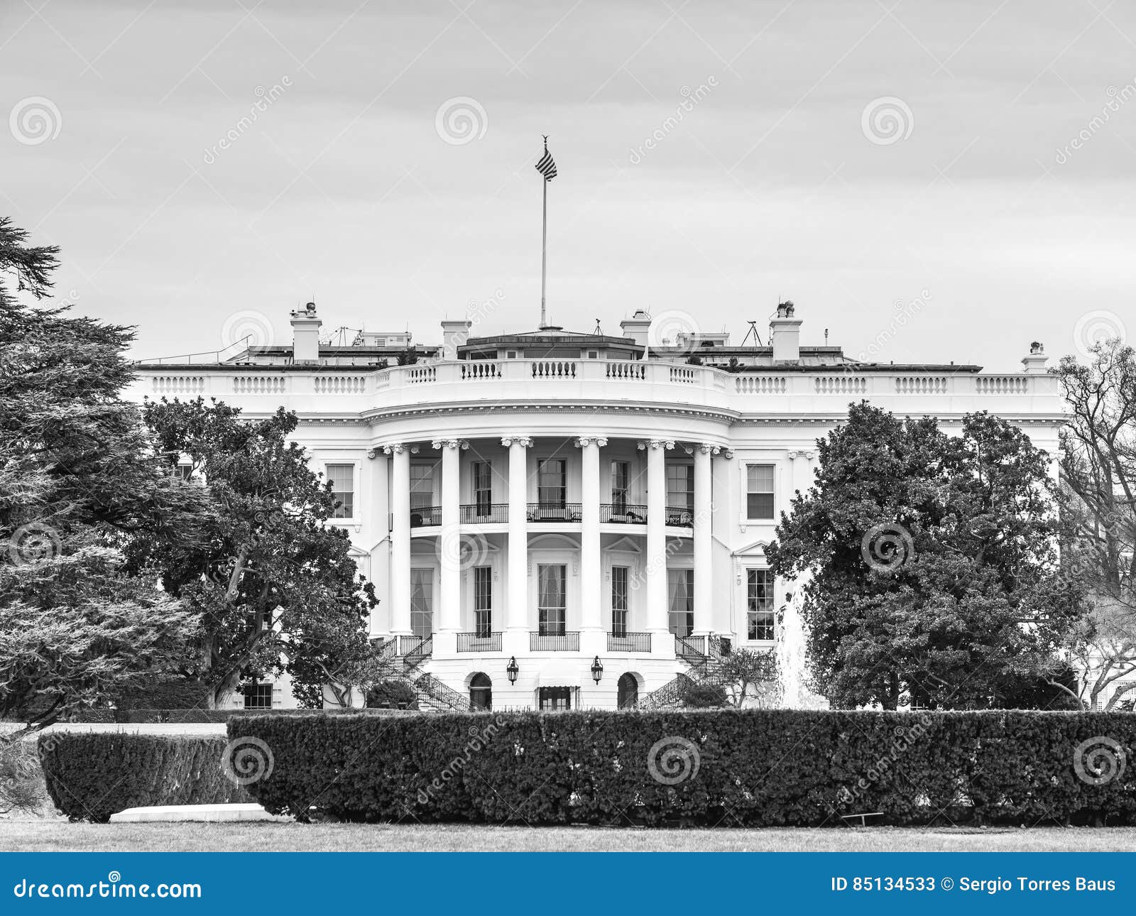 The White House stock image. Image of lawn, flag, bush - 85134533