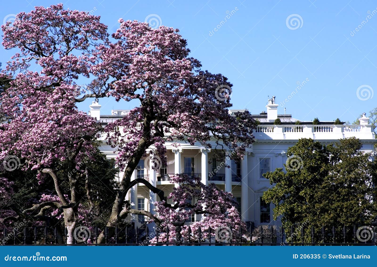 White house in spring stock image. Image of blue, presidents - 206335