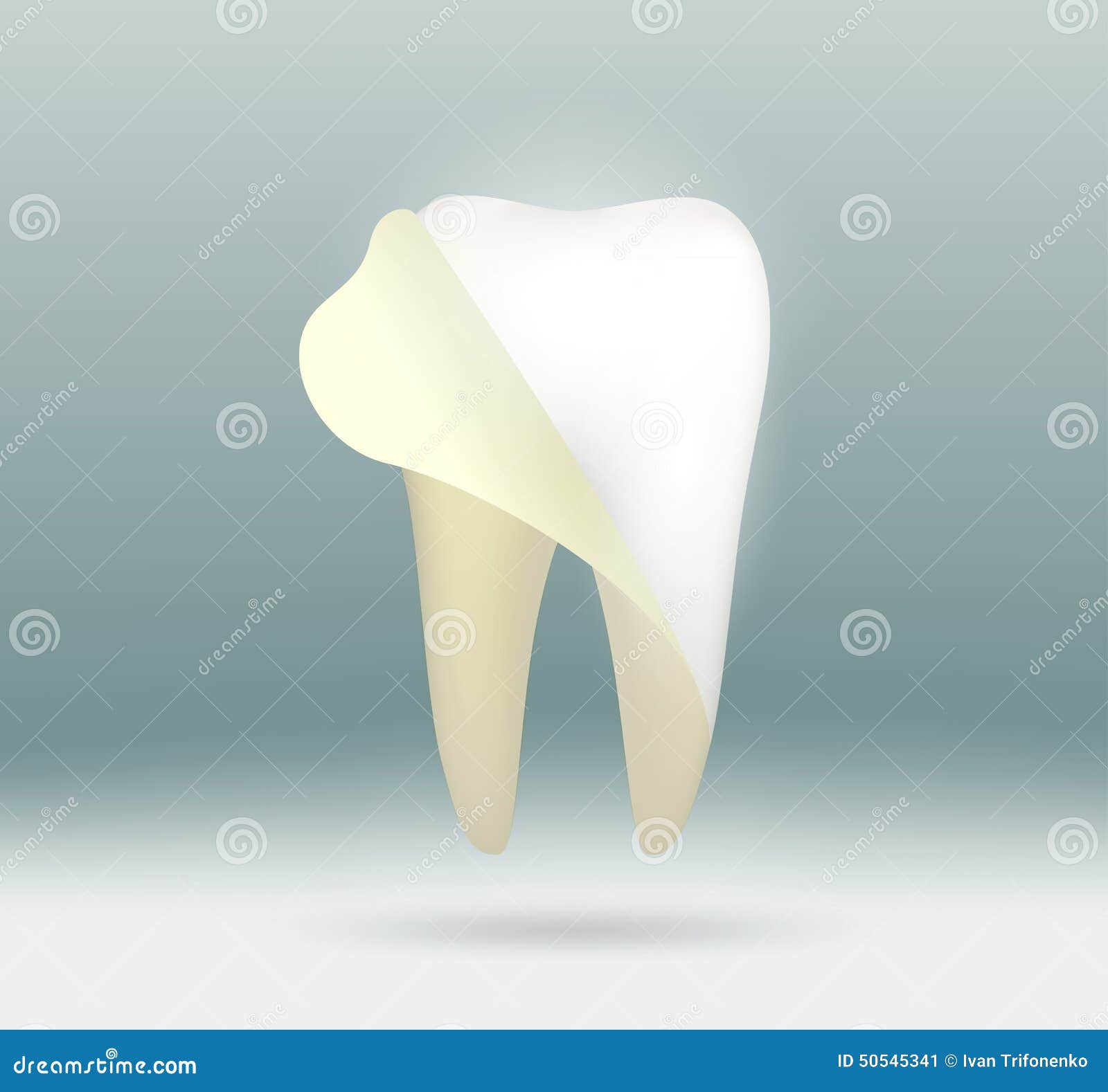 White human tooth stock vector. Illustration of care - 50545341