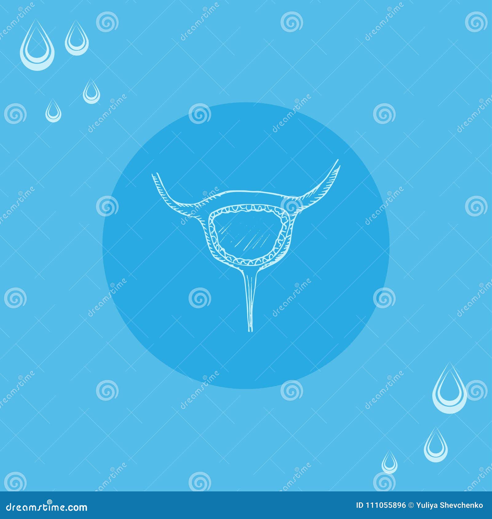 White Human Urinary Bladder Stock Vector - Illustration of organs ...