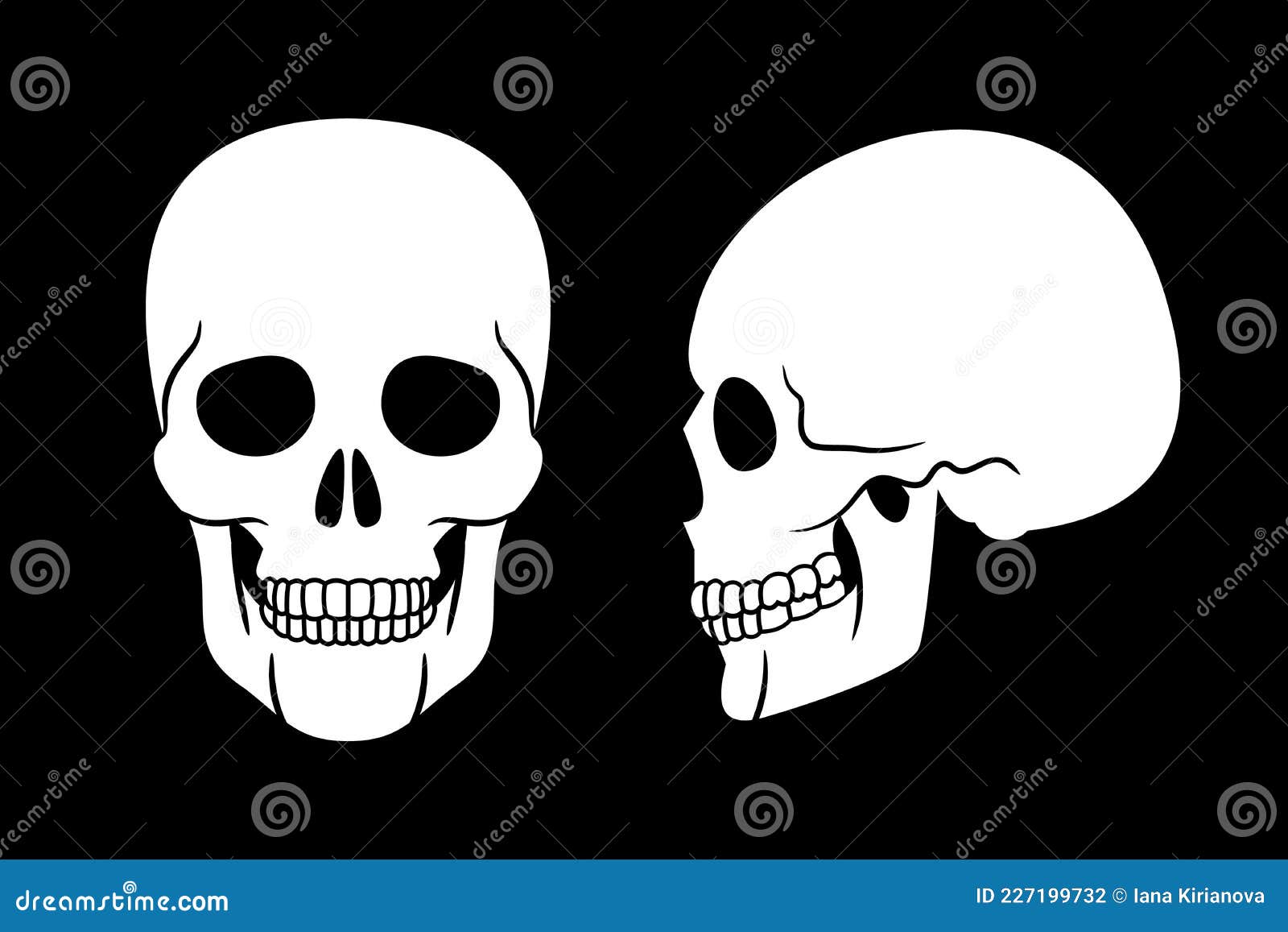 White Human Vector Skulls in Flat Style Isolated Stock Vector ...
