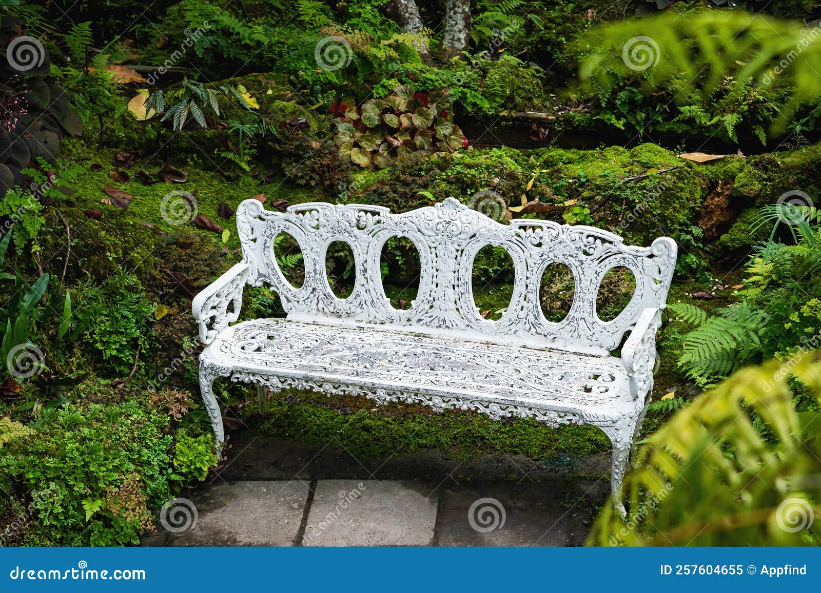 White Iron Bench in the Garden Stock Image - Image of outdoors, plant ...