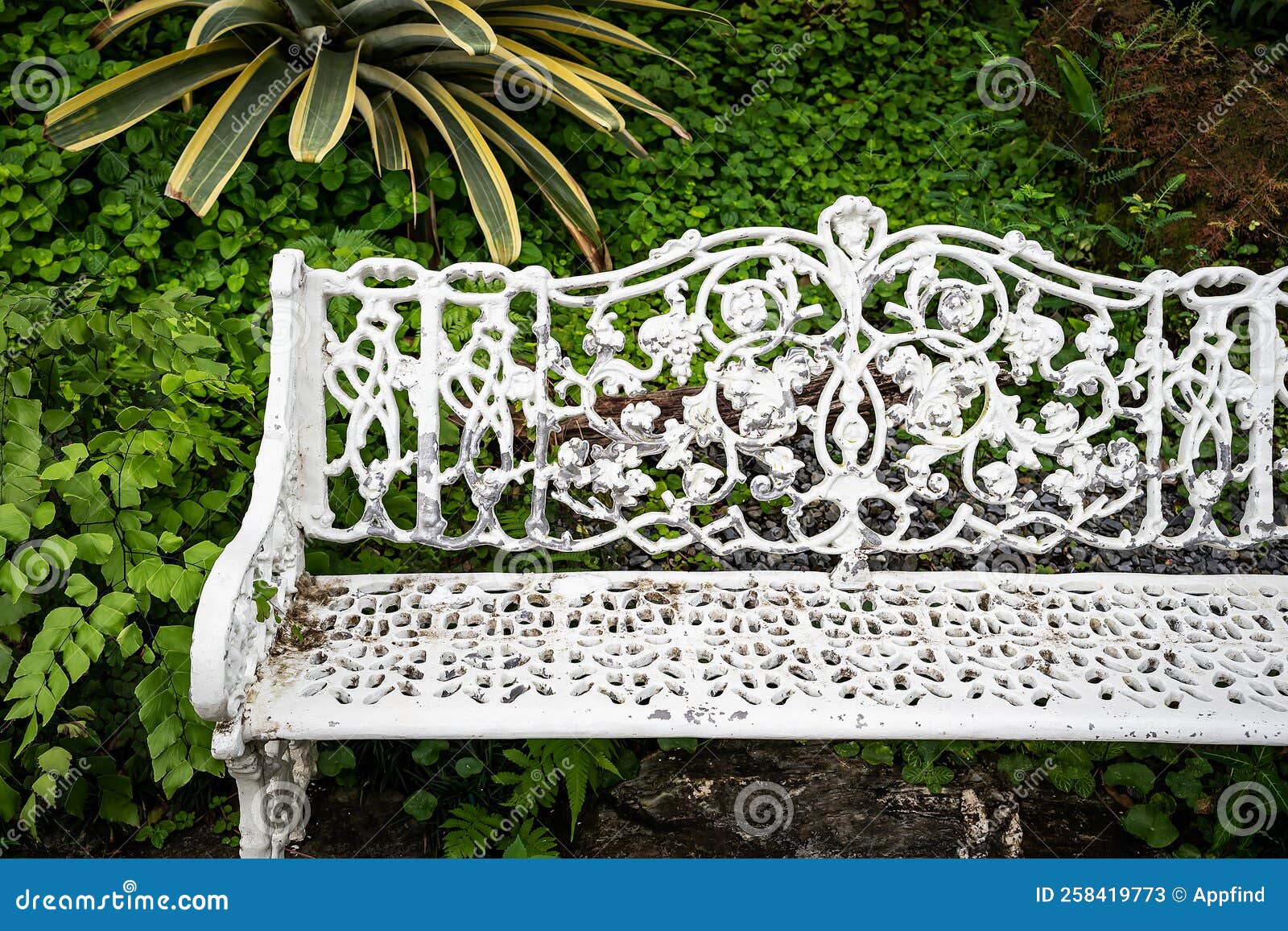 White Iron Bench in the Garden Stock Image - Image of park, garden ...