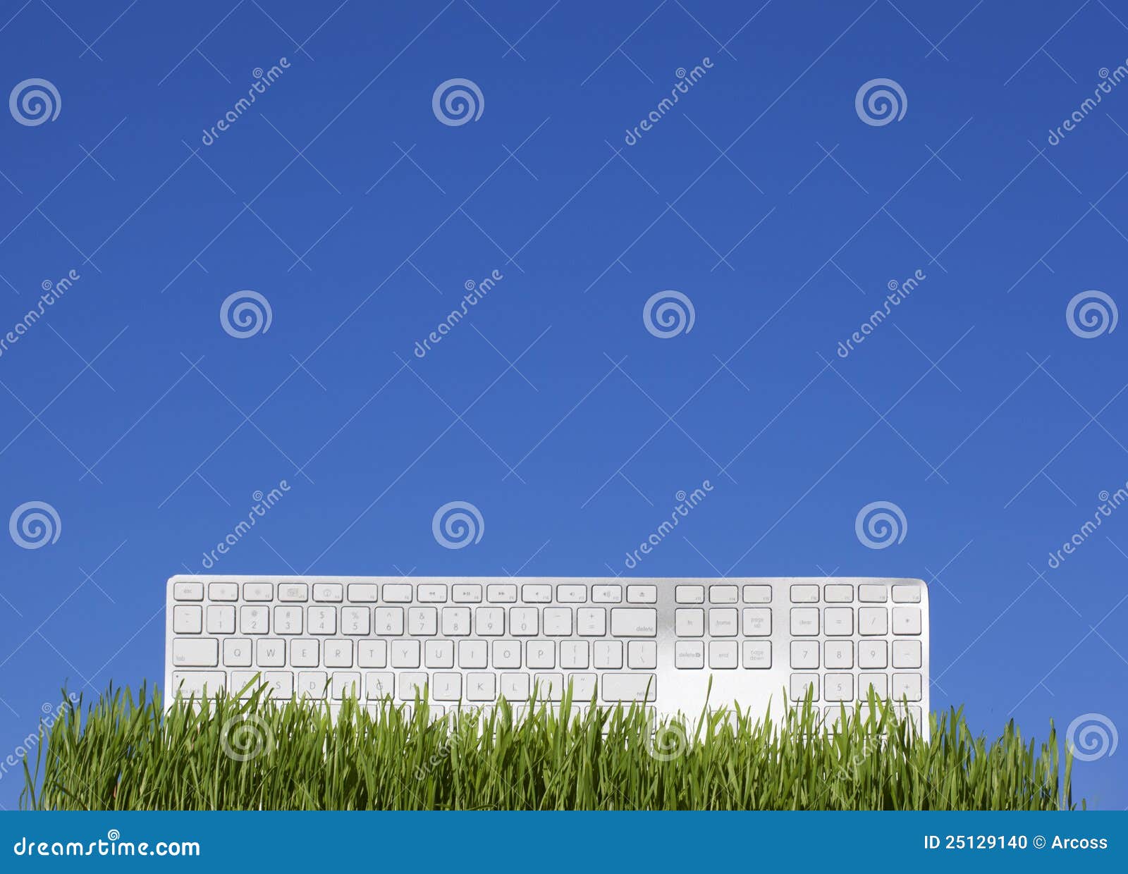 White Keyboard on the Grass Stock Photo - Image of computer, mobile ...
