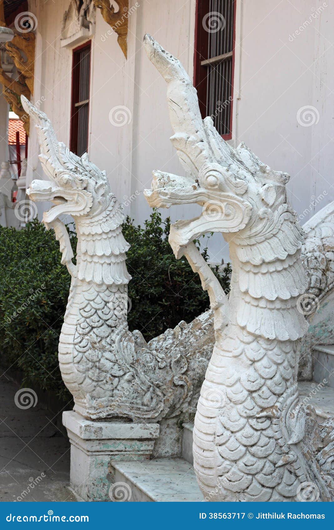 White king of Naga stock image. Image of king, buddha - 38563717