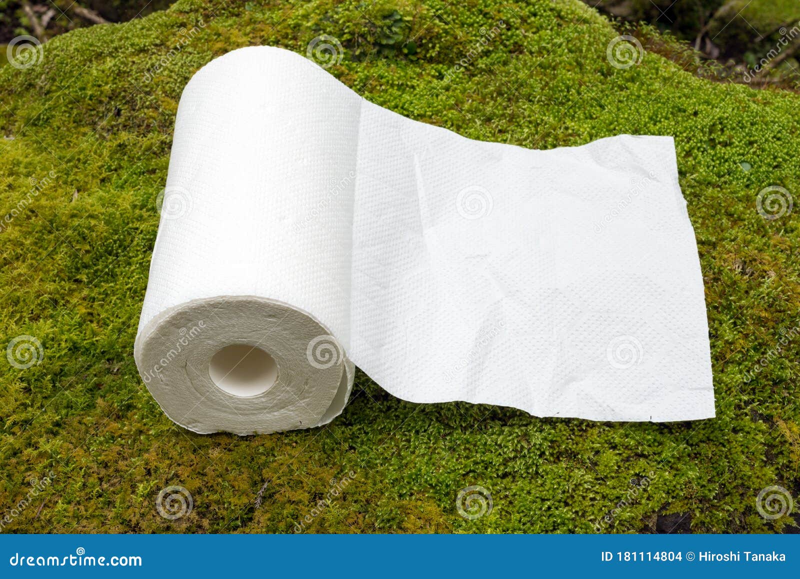 White kitchen roll stock photo. Image of moss, necessities - 181114804