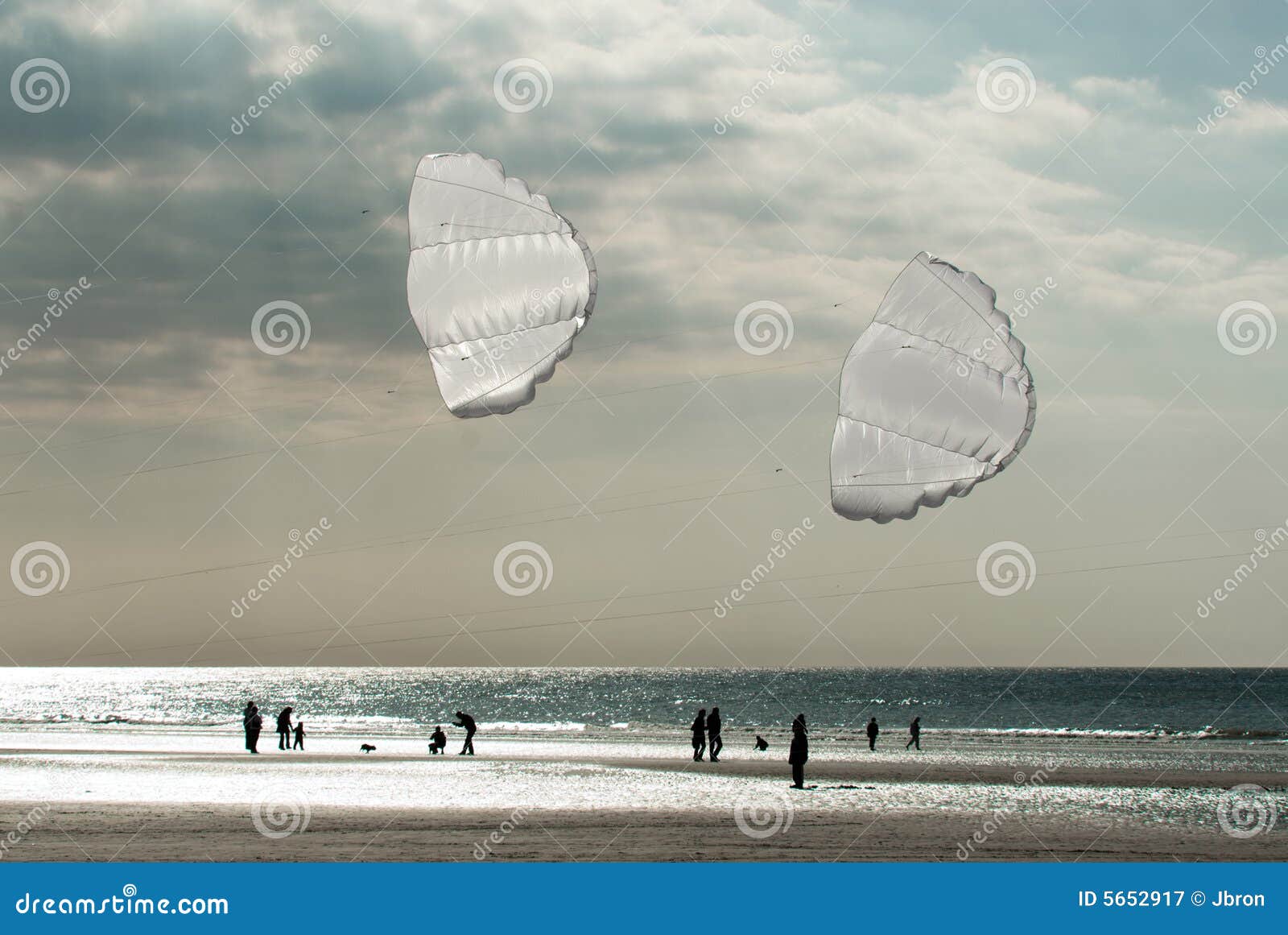 White kites stock image. Image of peaceful, ocean, beach - 5652917