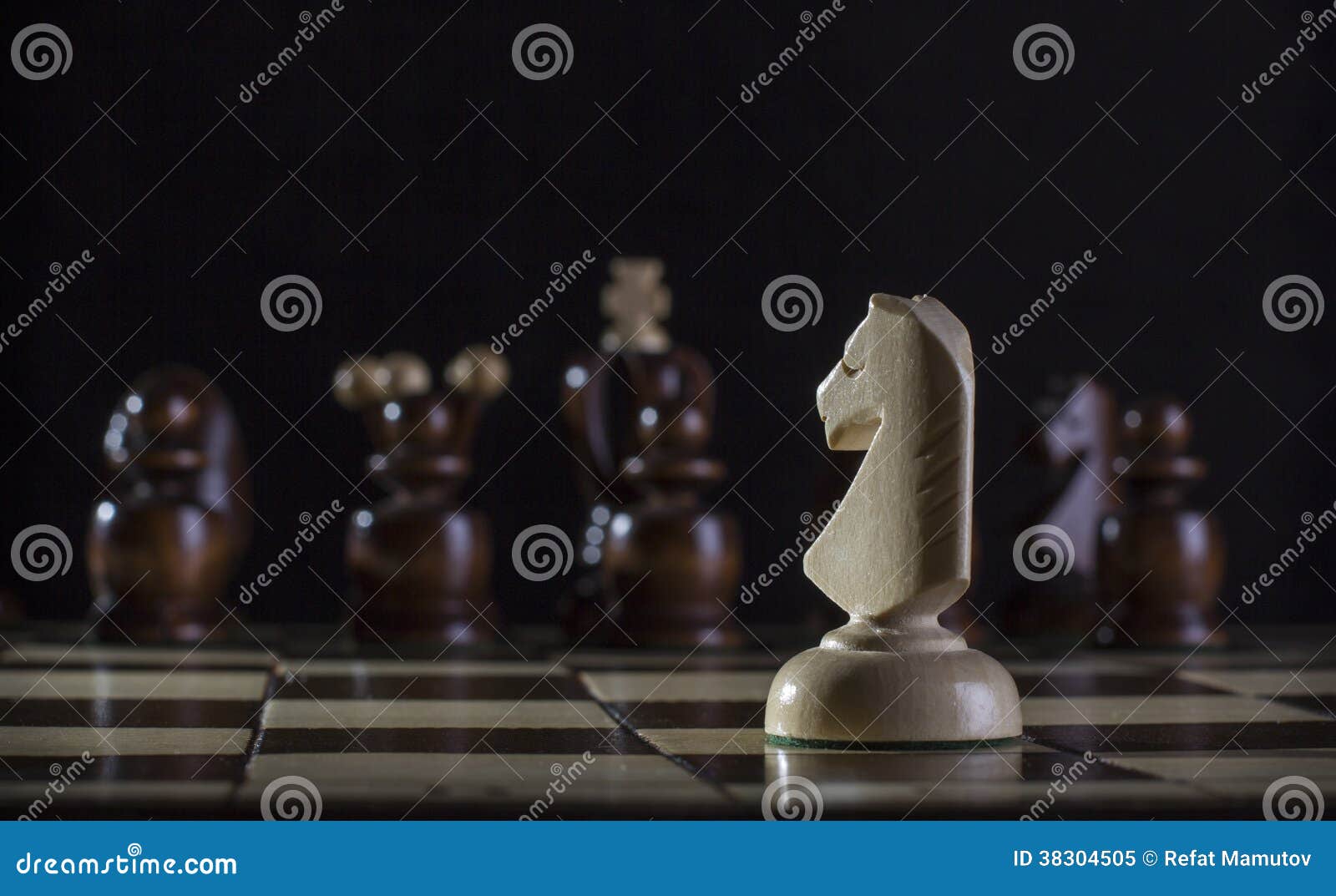 White Knight Of Chess Board Stock Photo | CartoonDealer.com #145476048