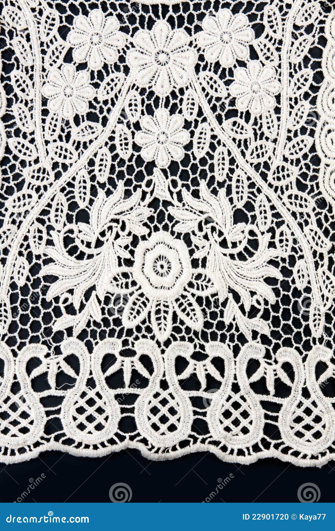 White Lace with a Floral Pattern Stock Photo - Image of decoration ...