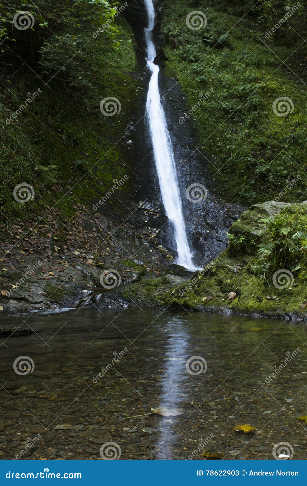 The White Lady waterfall stock image. Image of flow, lydford - 78622903