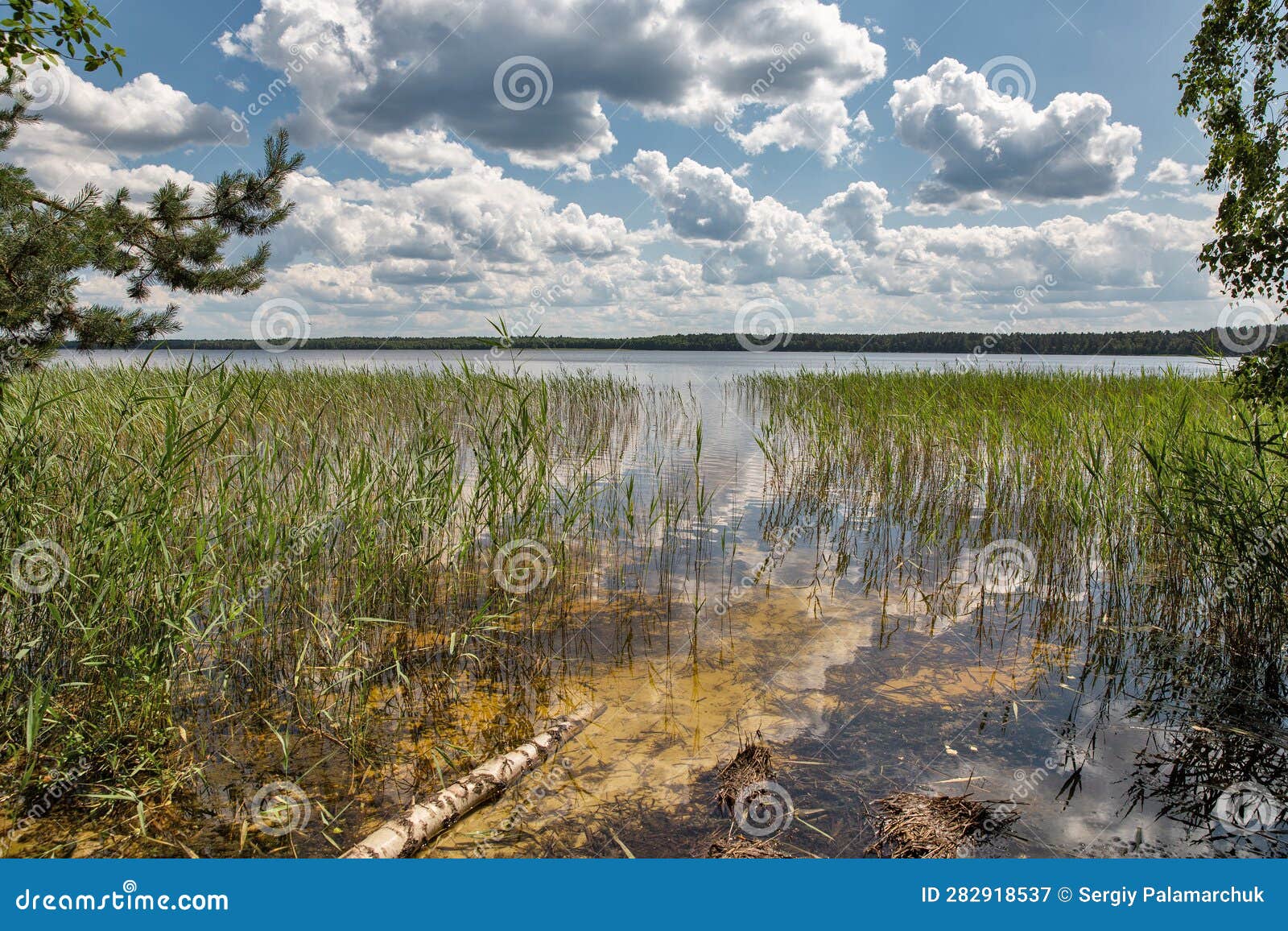 White Lake Shore in Rivne Region, Ukraine Stock Image - Image of nature ...