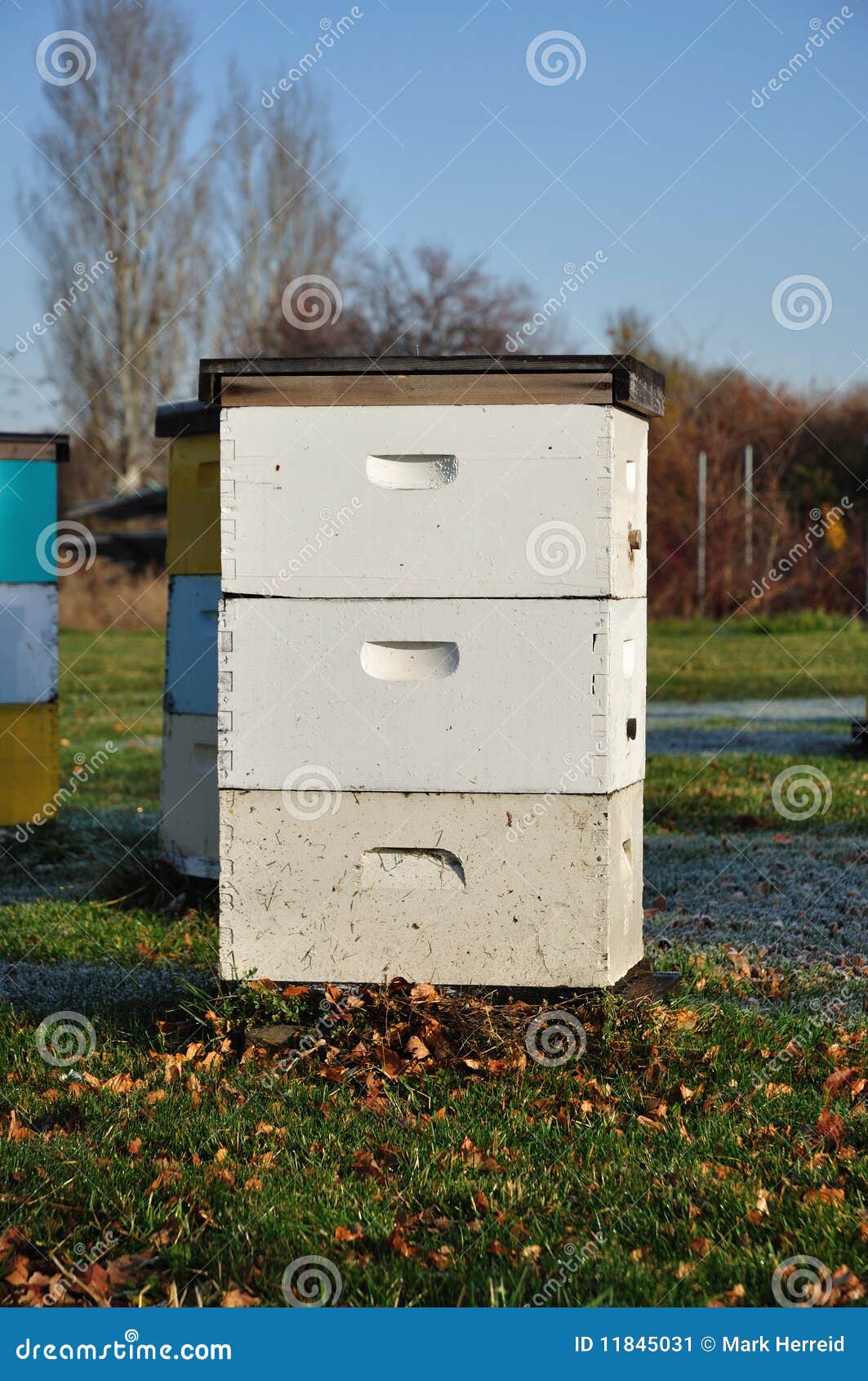 White Langstroth Bee Hive stock image. Image of apiary - 11845031