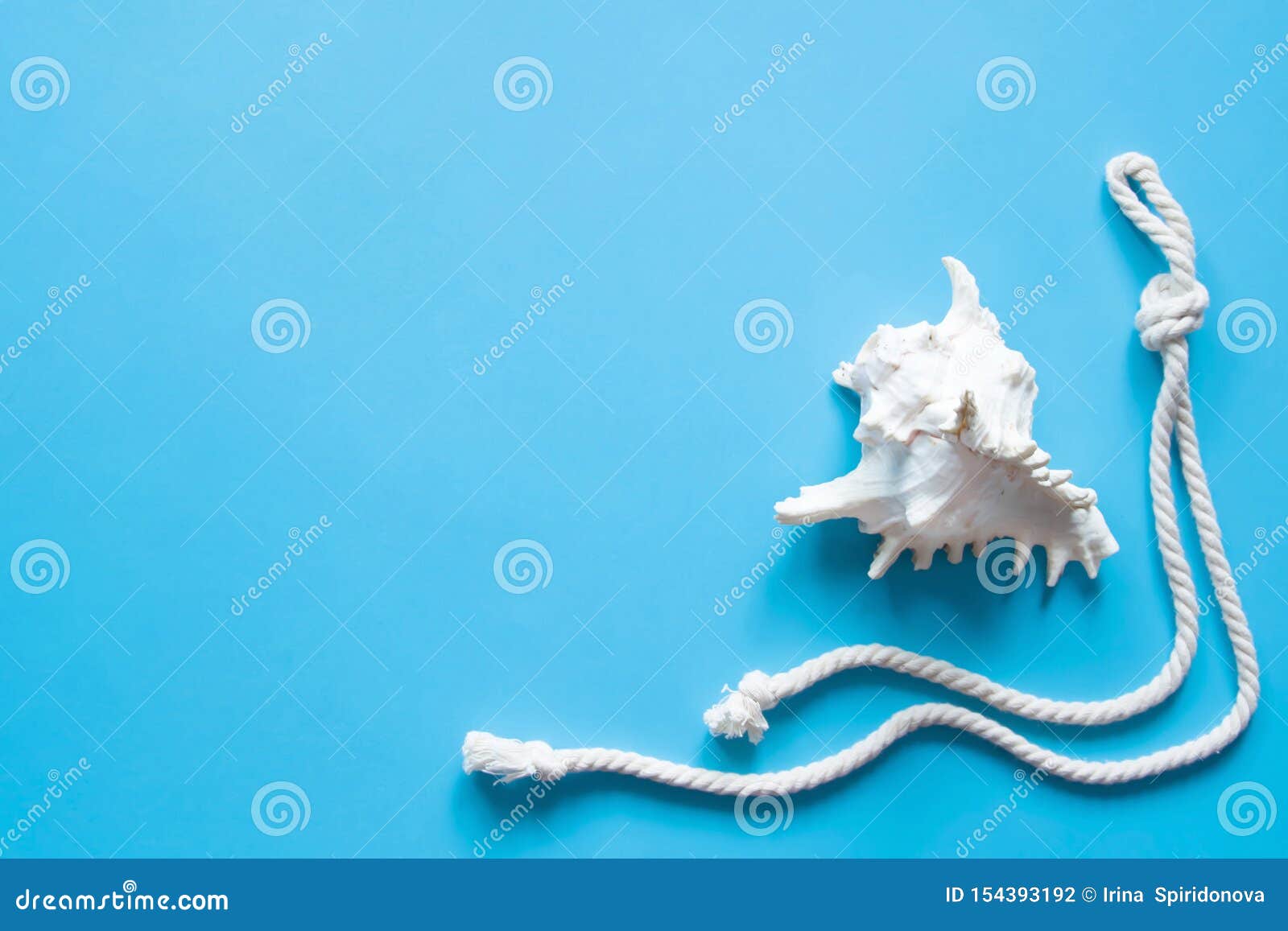 White Large Shell and Rope on Blue Background Stock Photo - Image of ...