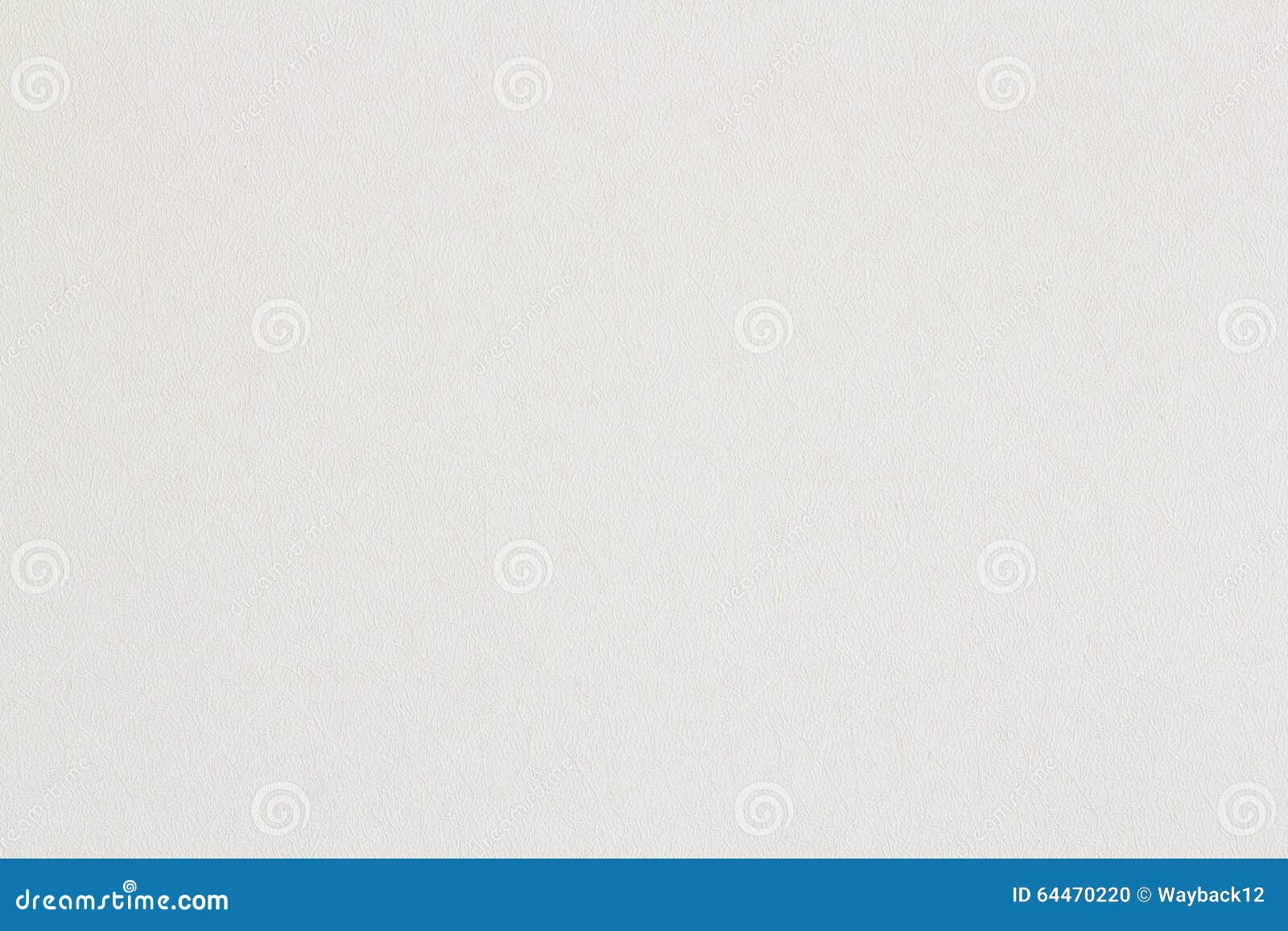 White Leaf Texture Wallpaper Stock Photo - Image of beautiful, line ...