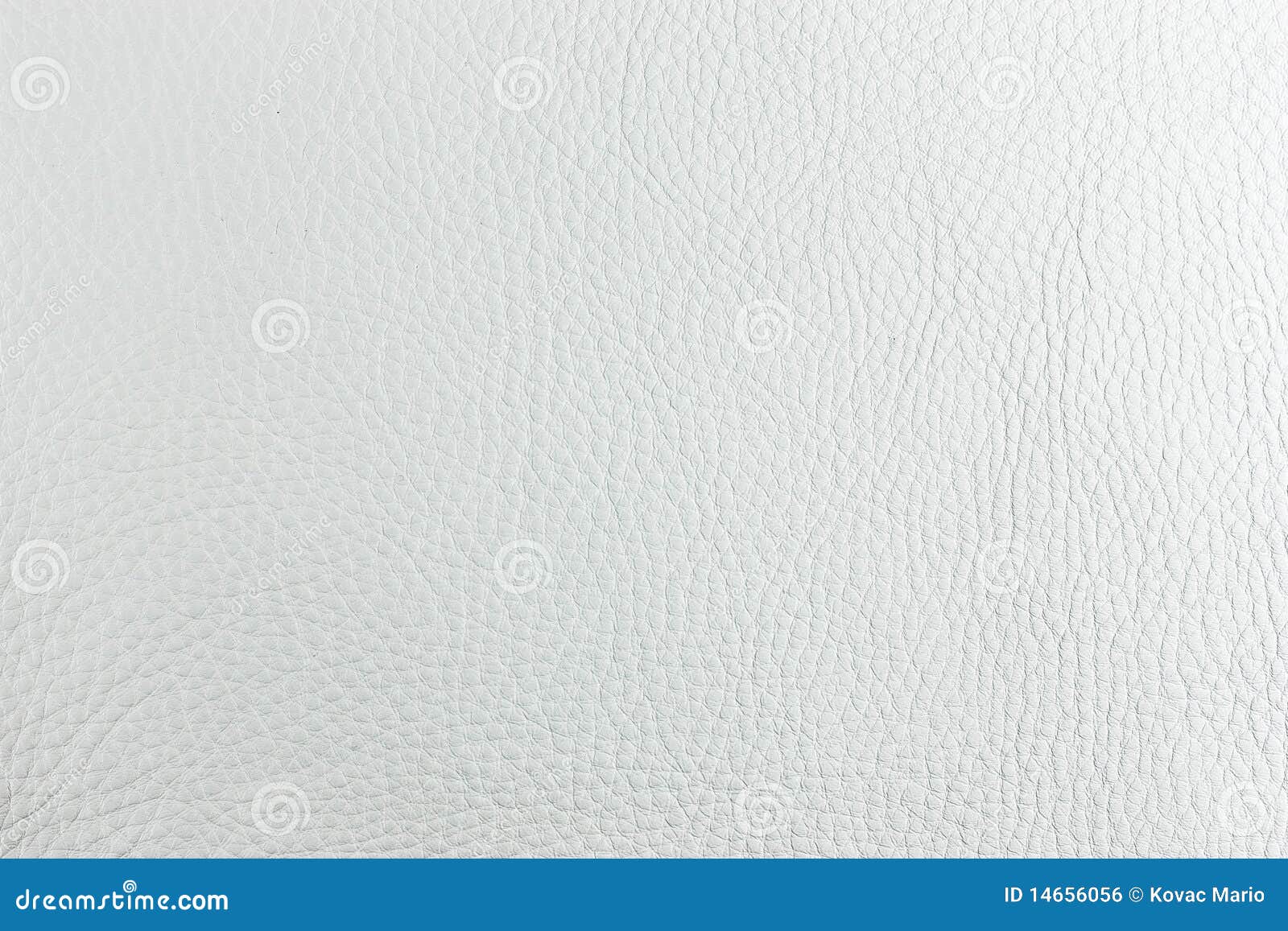 White leather stock photo. Image of genuine, layer, empty - 14656056