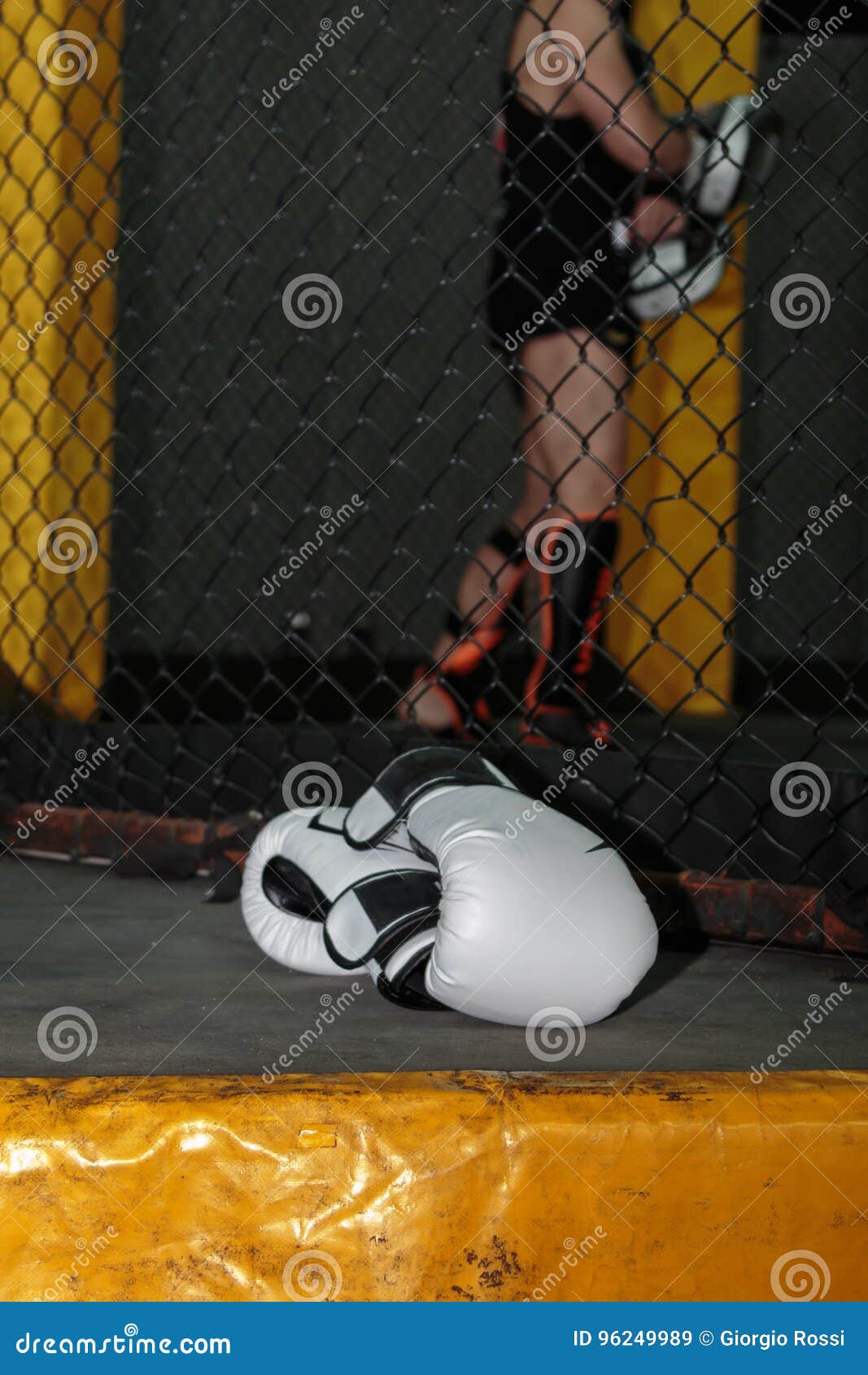 Inside Mma Cage