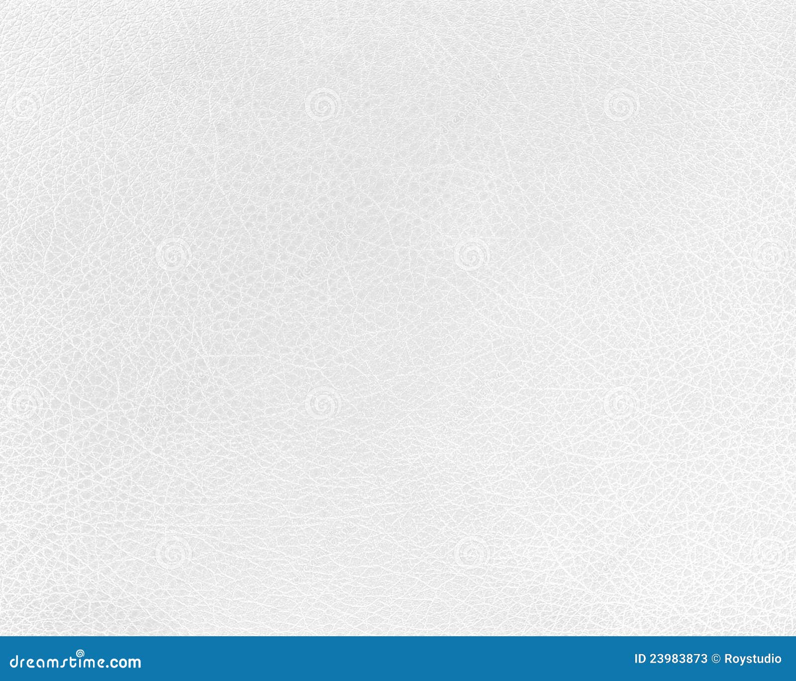 White Leather Pattern