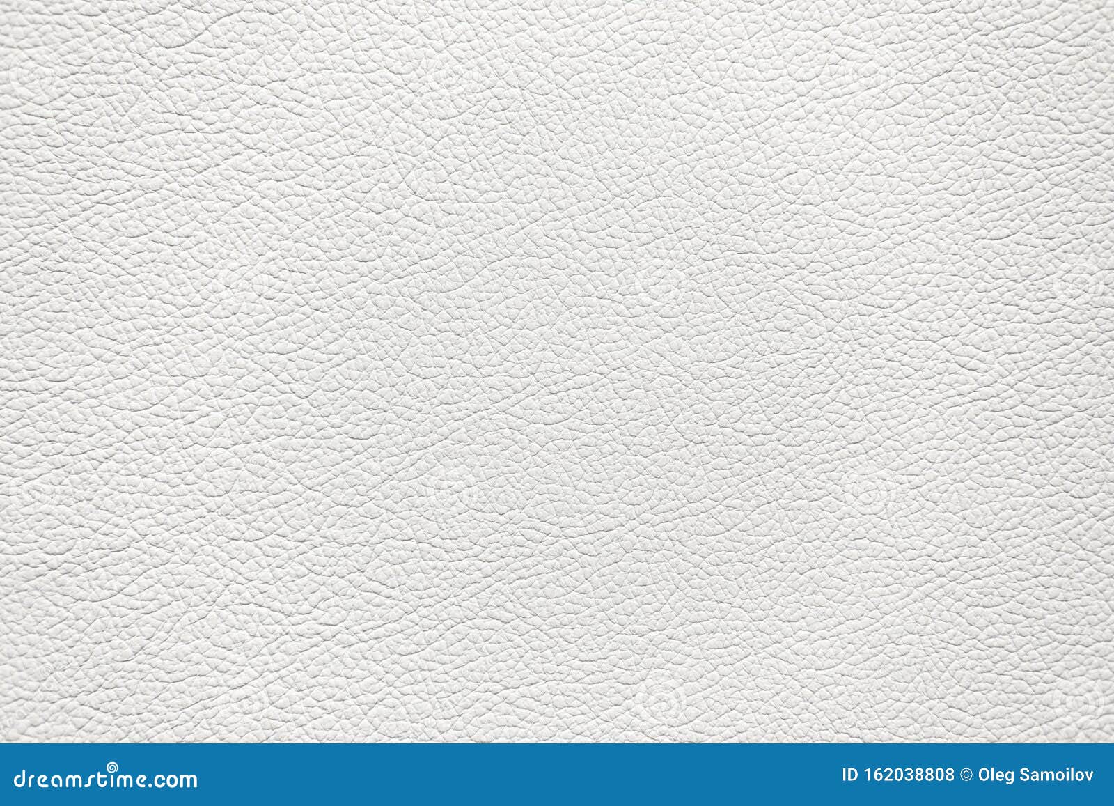 White Leather Texture. White Background Stock Photo - Image of material ...