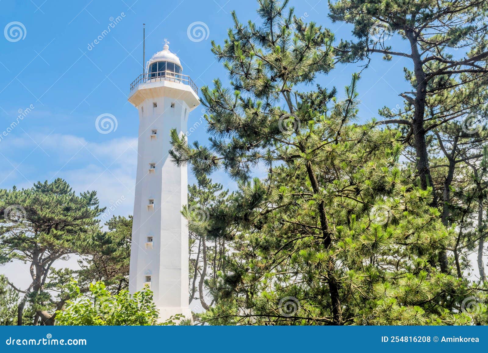 White Lighthouse in Stand of Evergreen Trees Stock Photo - Image of ...