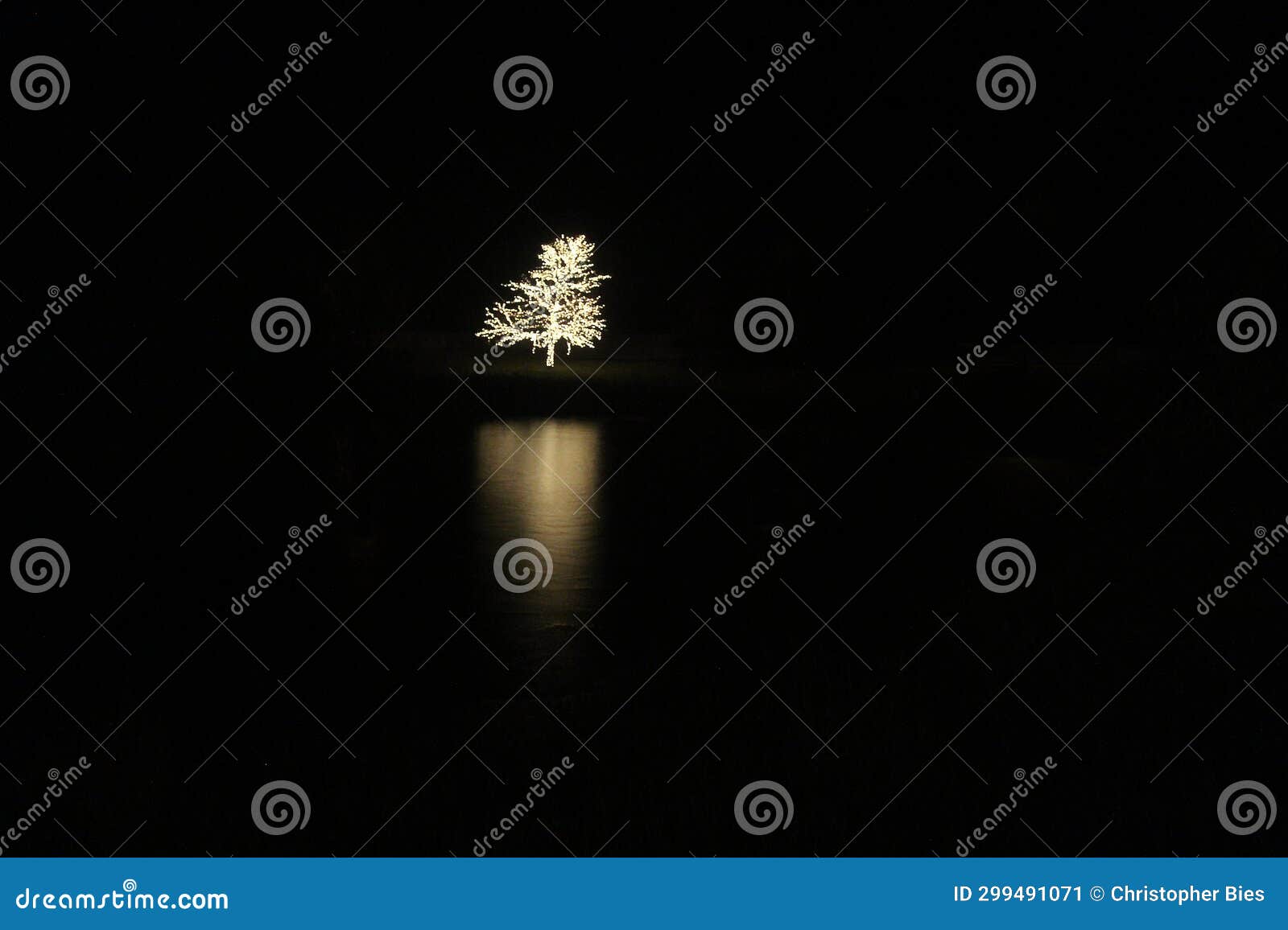 White Lights on a Tree with Reflection on Ice Stock Image - Image of ...