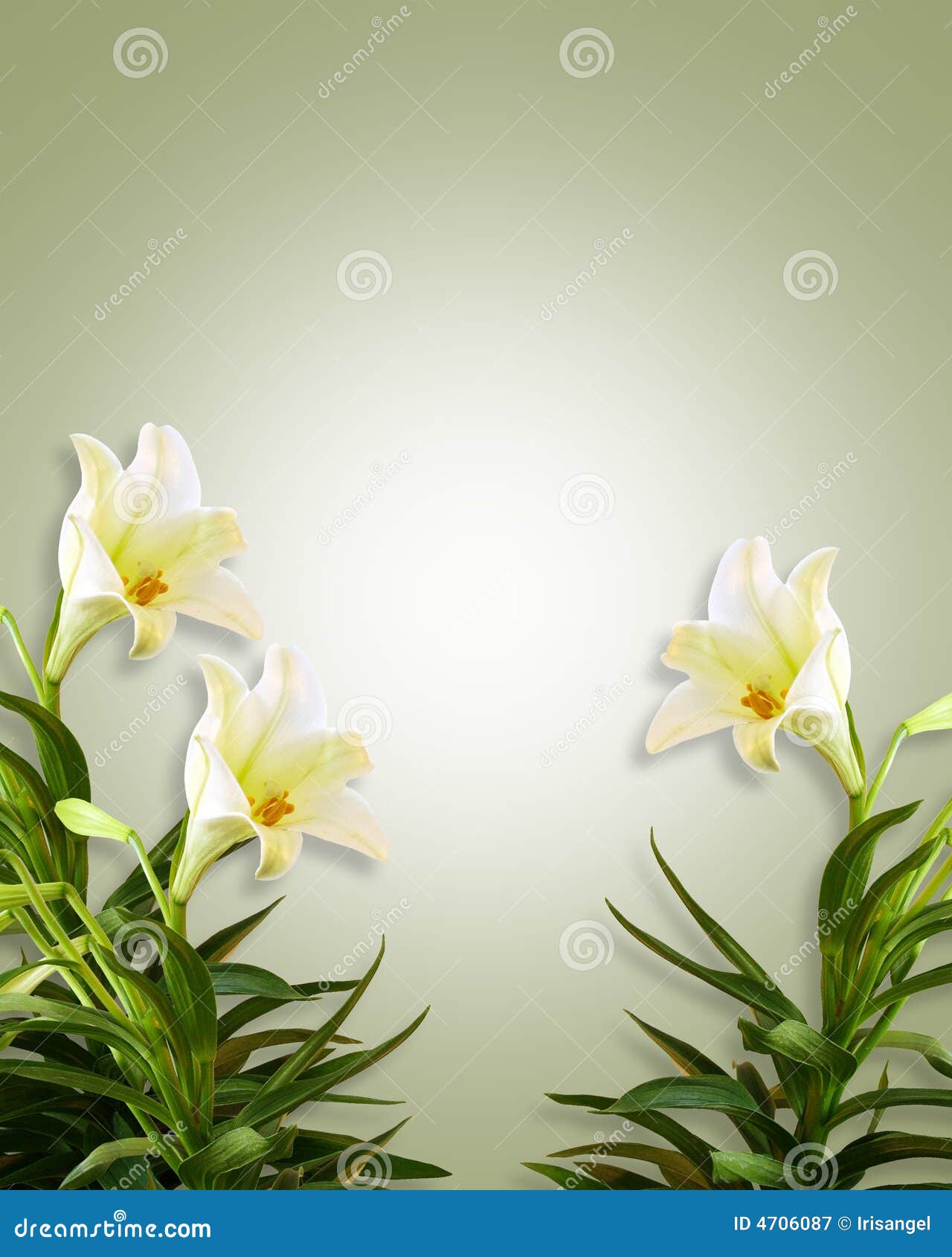 White Lilies Floral Easter Background Stock Illustration - Illustration ...