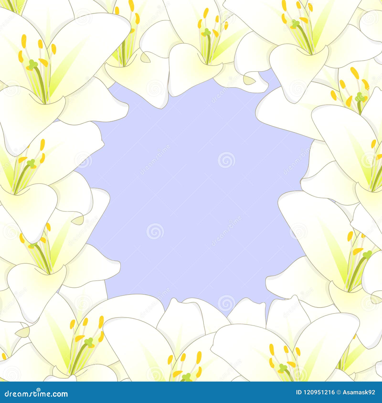White Lily Flower Border Isolated on Purple Background. Vector ...