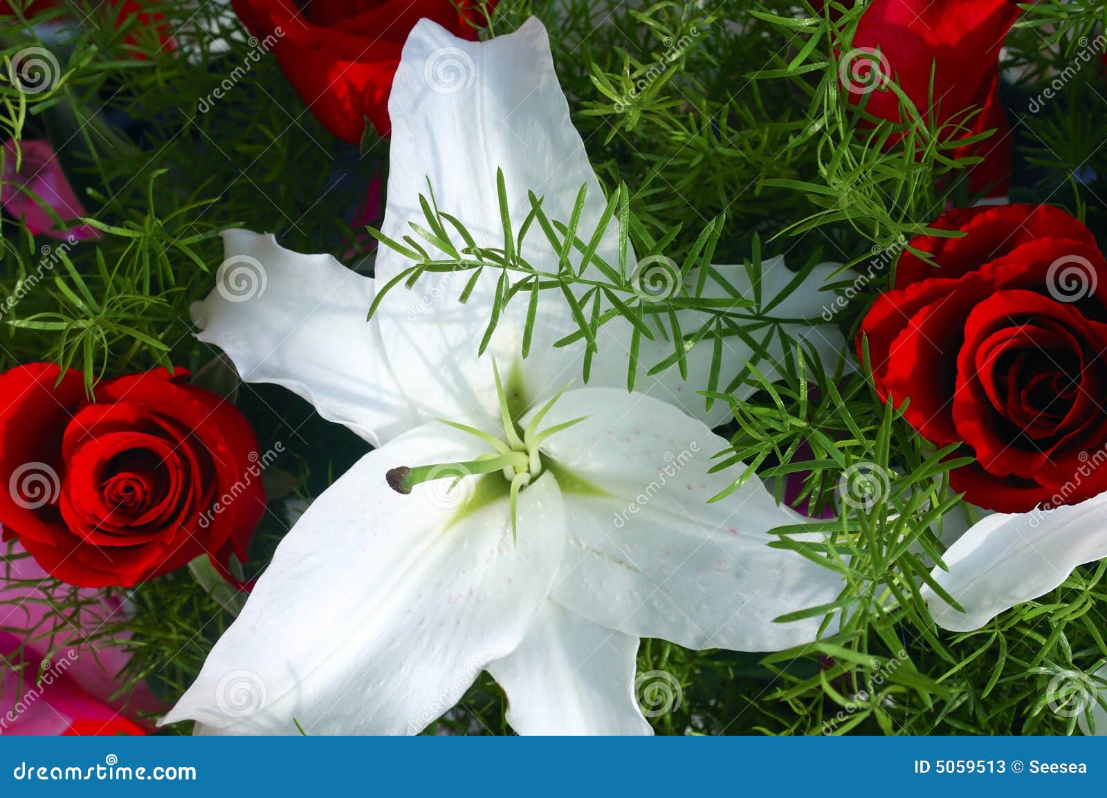 White lily and red rose stock image. Image of nature, ikebana - 5059513