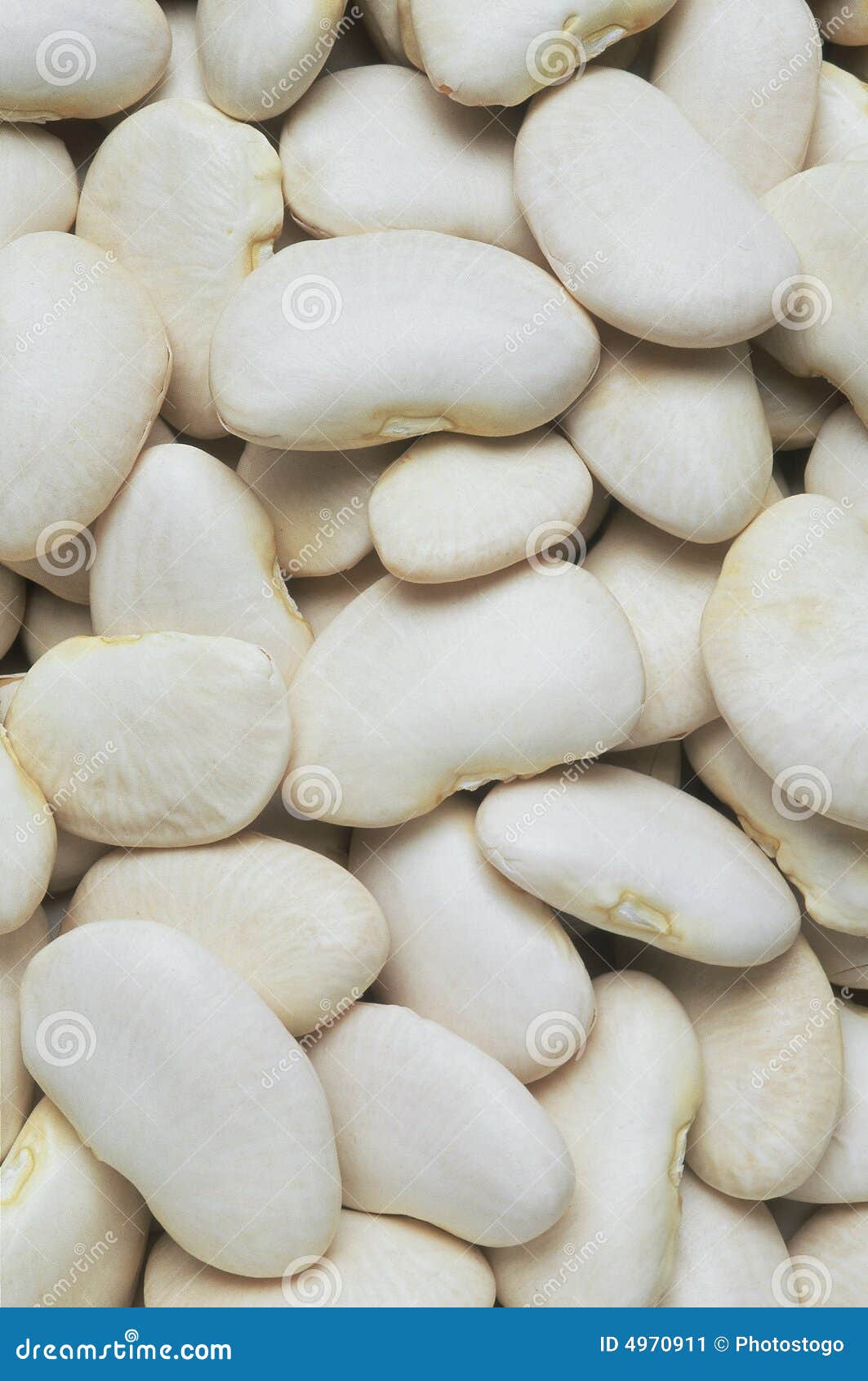 White Lima Beans stock image. Image of lima, background - 4970911