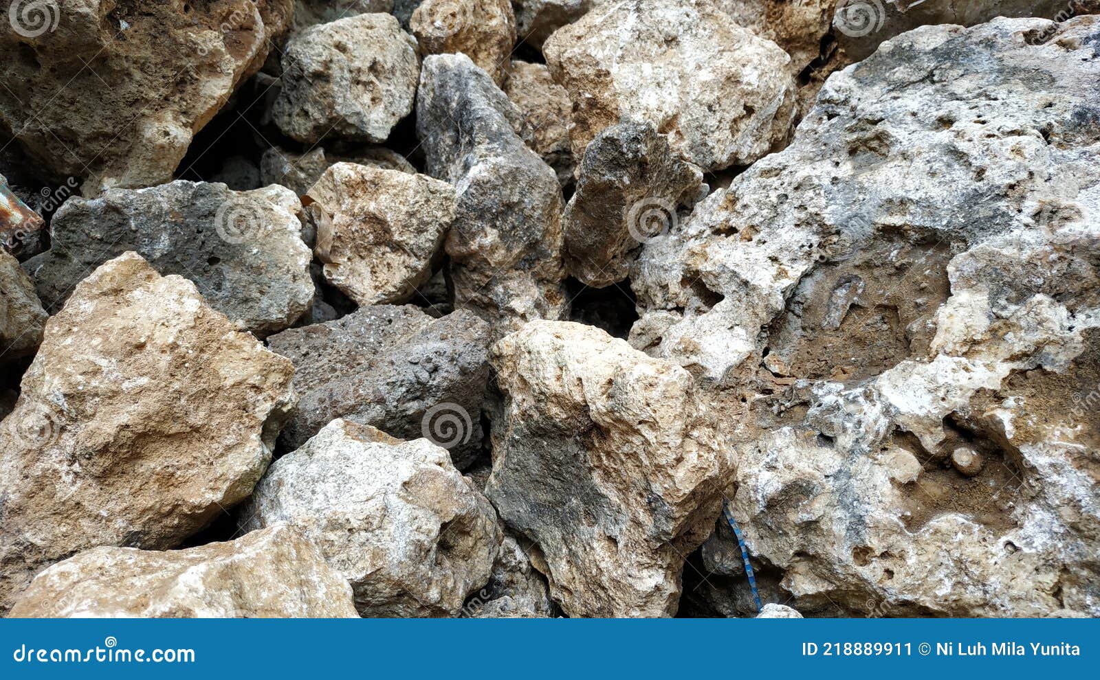 White Limestone background stock image. Image of trunk - 218889911