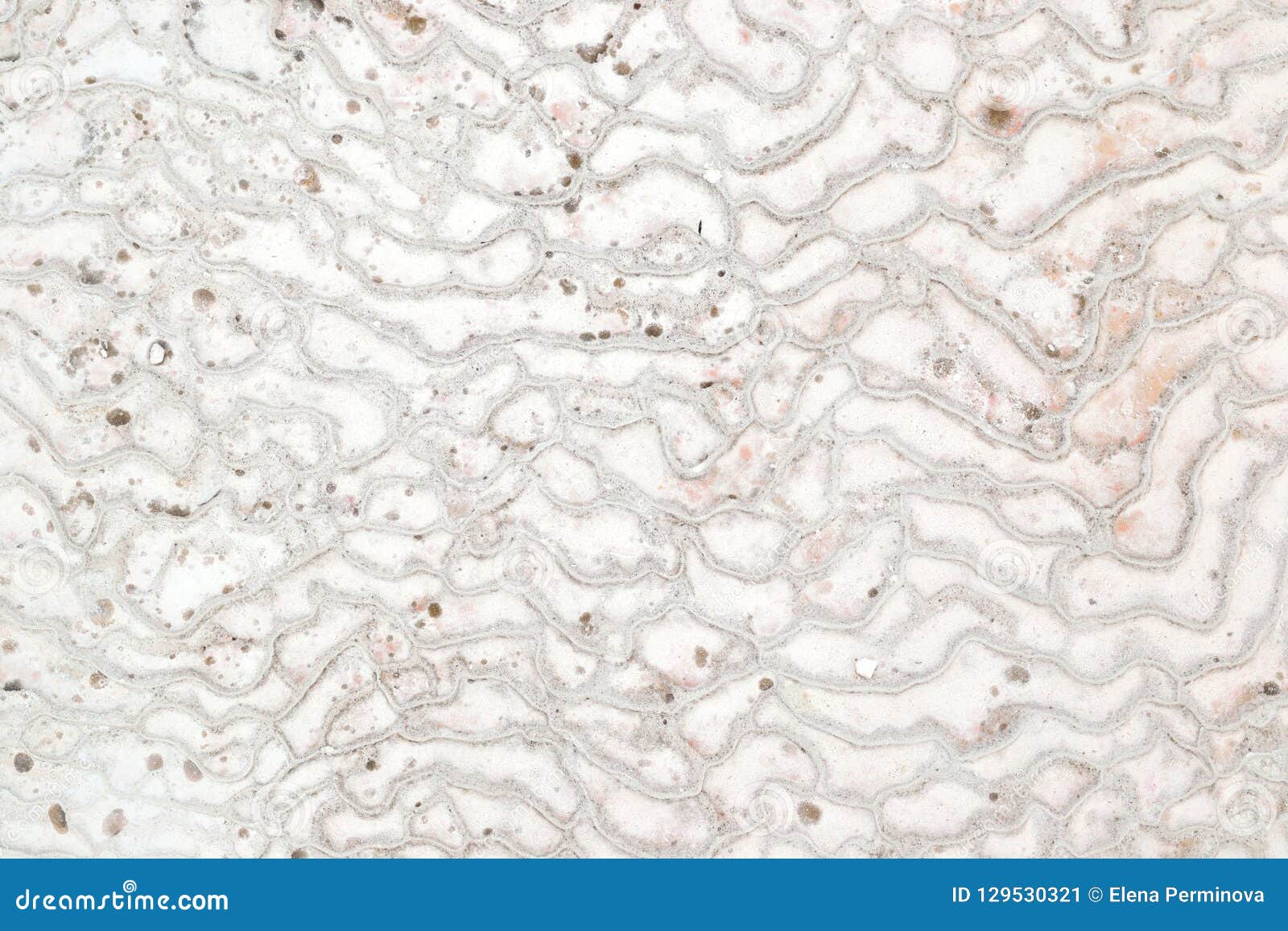 White Limestone Surface Background Stock Image - Image of construction ...
