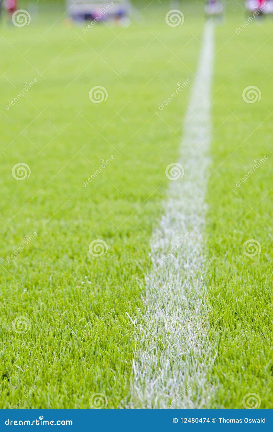 White Line stock photo. Image of green, championship - 12480474