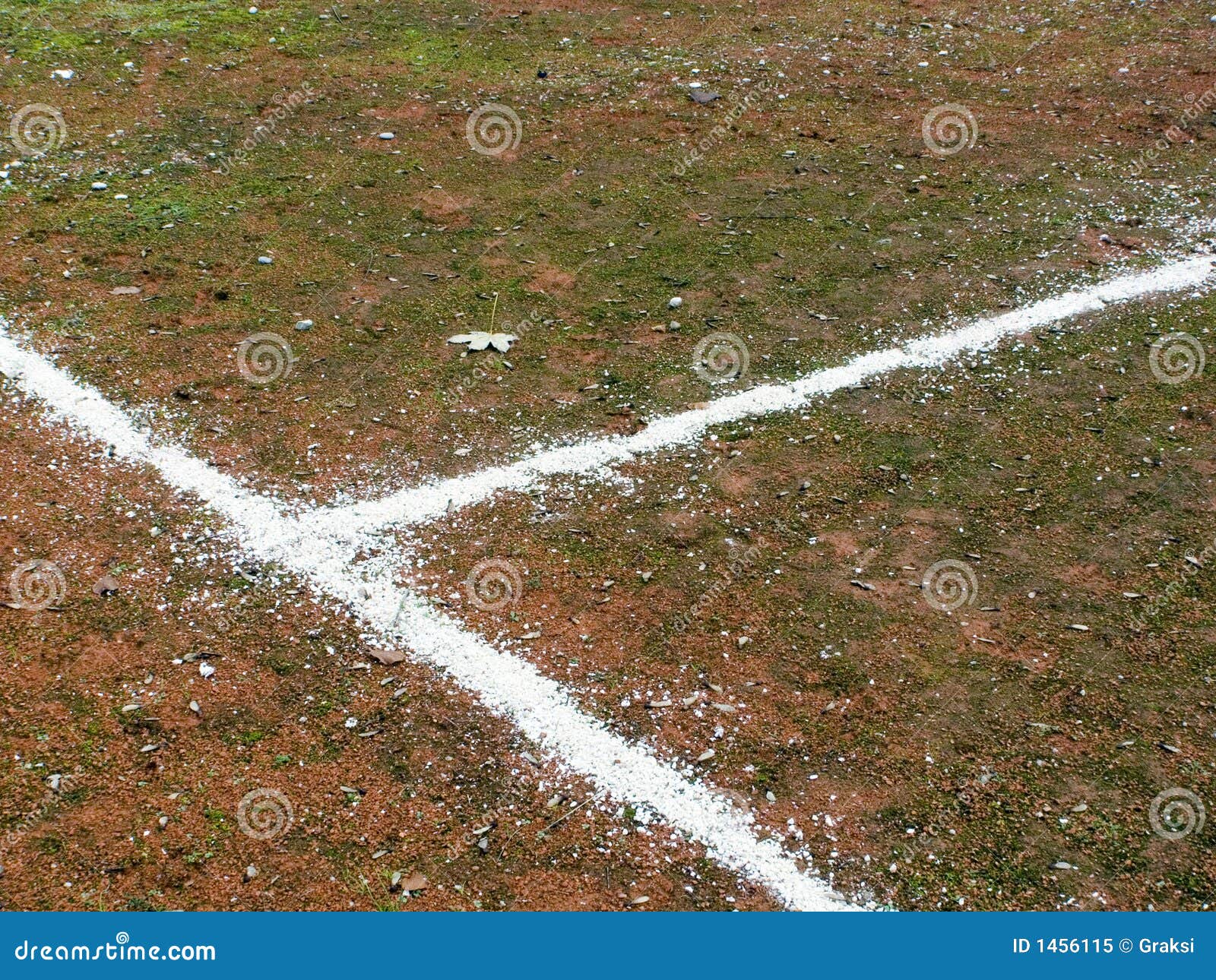 White Line Picture. Image: 1456115