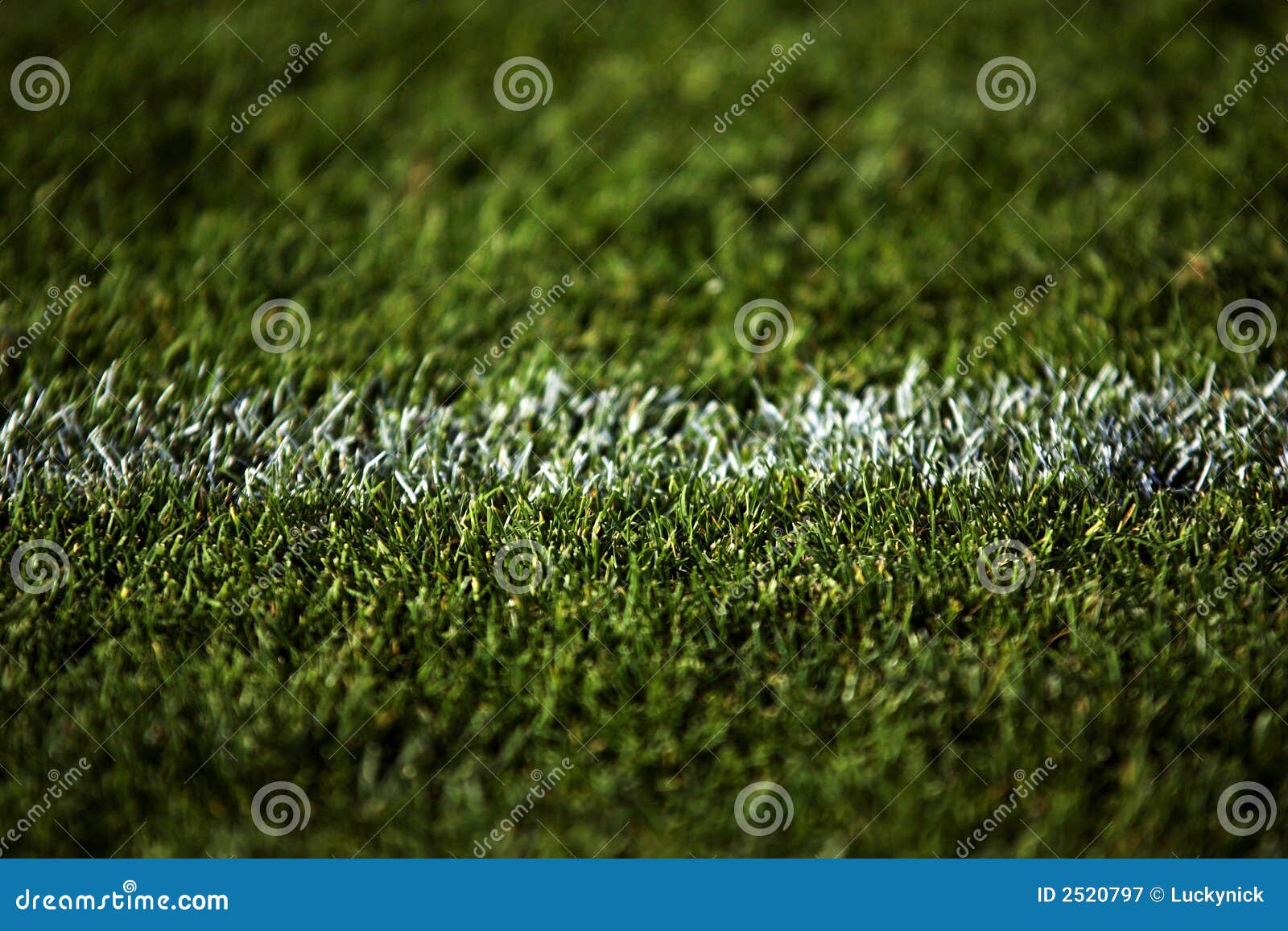 White line stock image. Image of white, grasses, collateral - 2520797