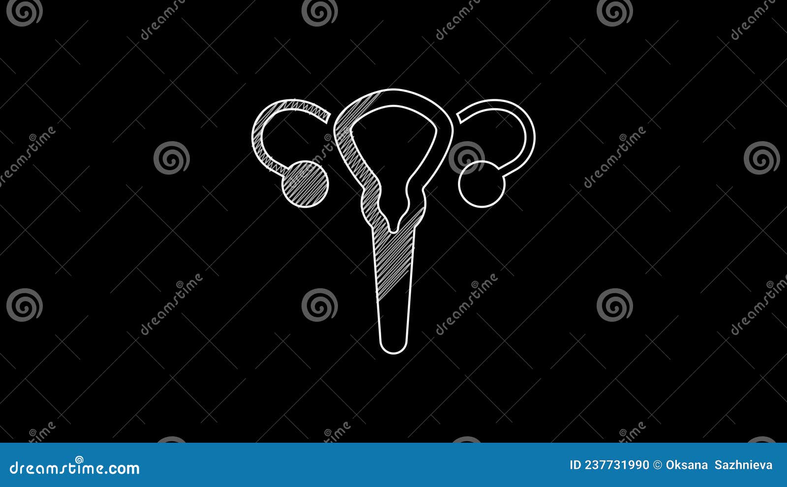 White Line Female Reproductive System Icon Isolated On Black Background
