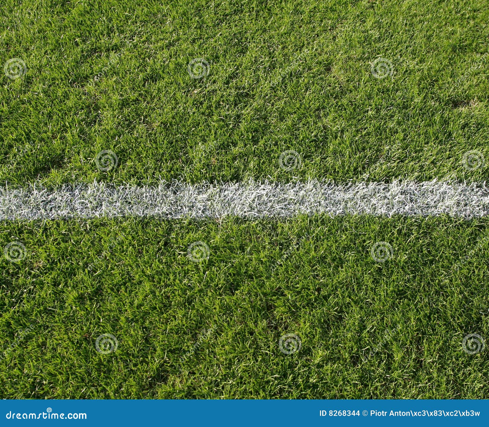 White line on grass stock photo. Image of agriculture - 8268344
